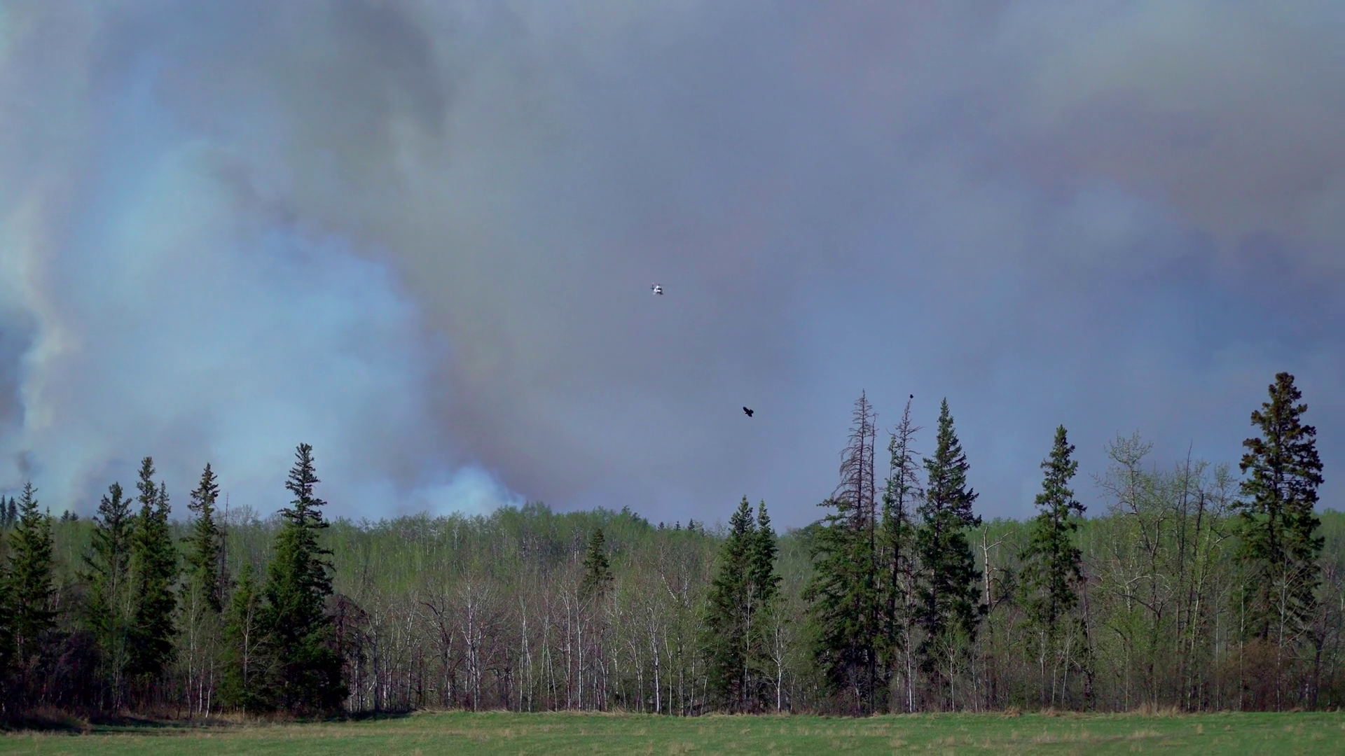 Massive Smoke Cloud From Forest Fire In Stock Footage SBV-352126199 ...