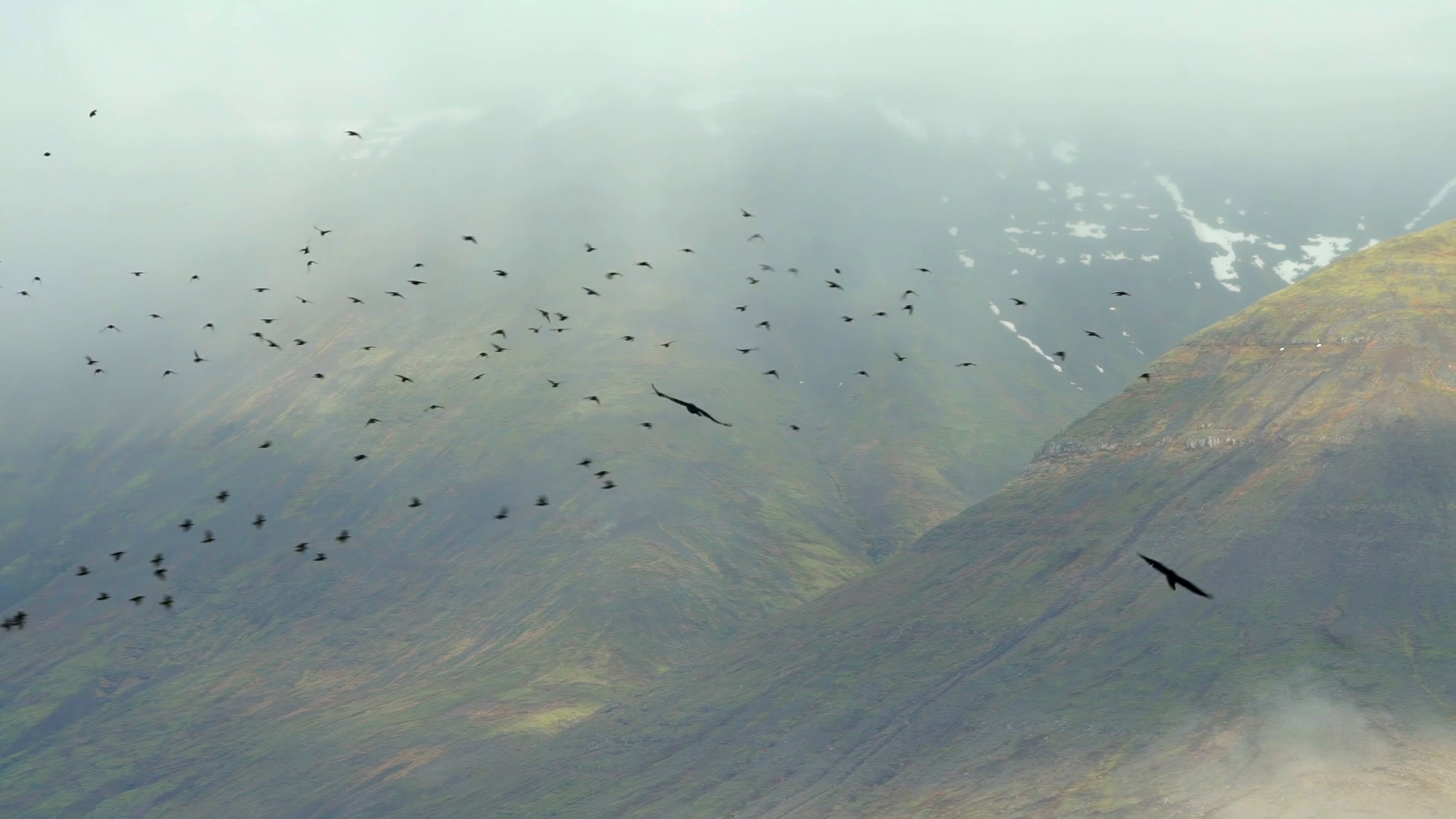 Small Bird Flock Ravens Flying In Mountains Stock Footage SBV-348690350 ...