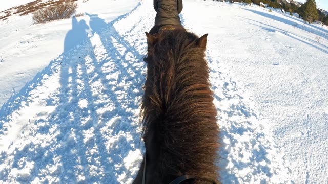 Pov Riding A Horse Stock Footage: Royalty-Free Video Clips - Storyblocks