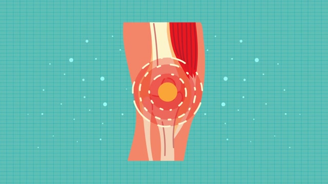 Human Body Animation Knee Stock Footage: Royalty-Free Video Clips ...