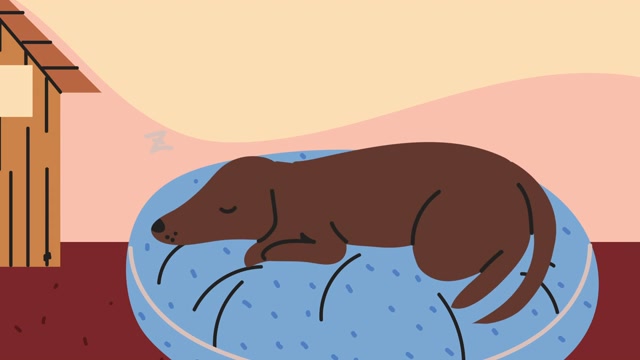 Sleep Animation Stock Footage: Royalty-Free Video Clips - Storyblocks
