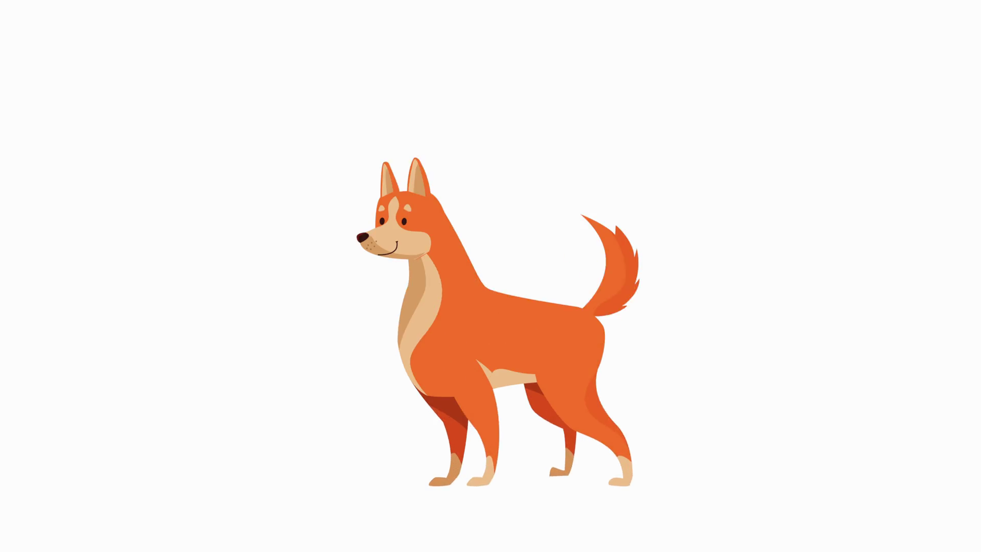 Dog Shiba Inu Mascot Animation Stock Motion Graphics SBV-347581083 ...