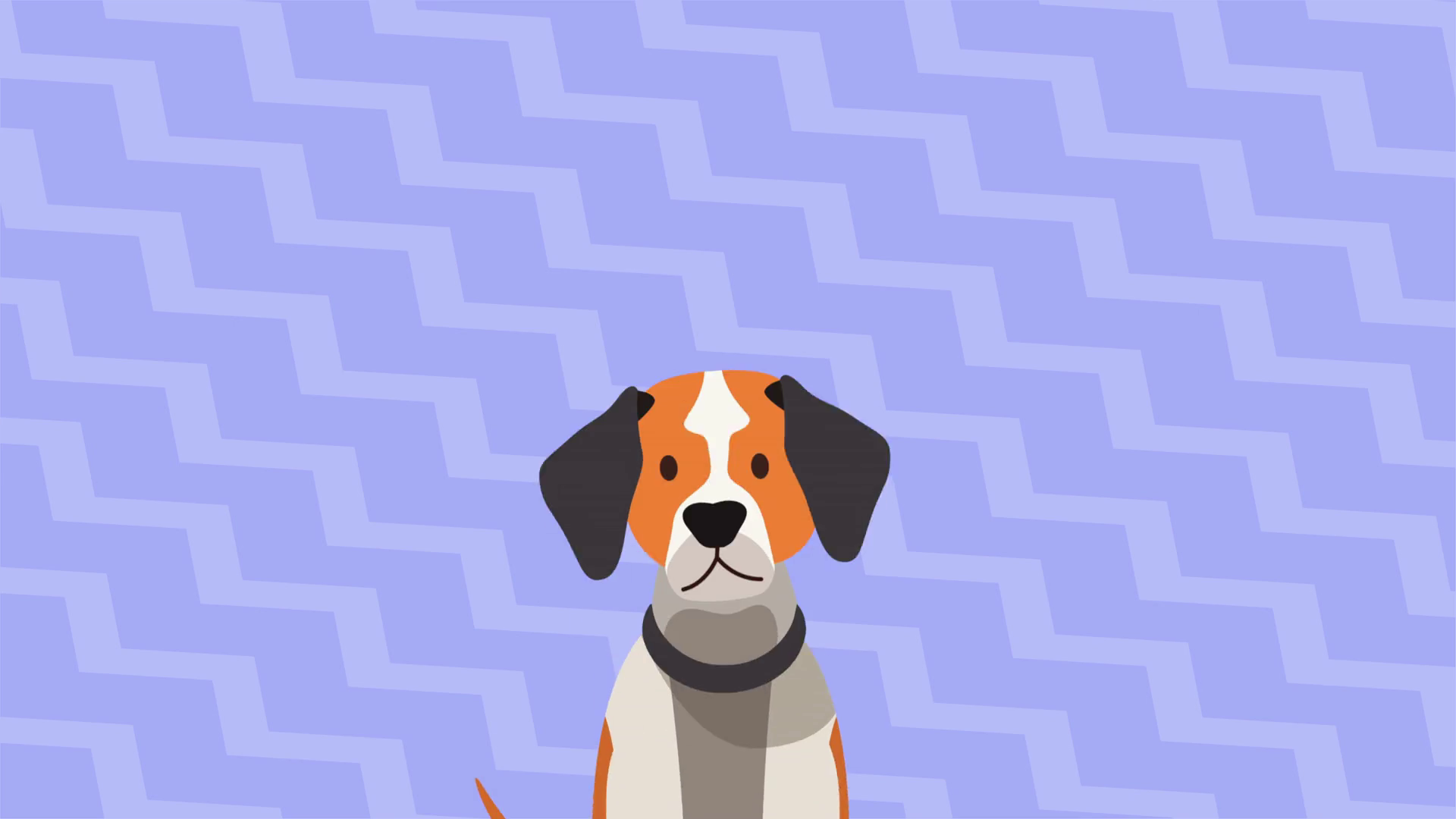 Three Dogs Pets With Flowers Animation Stock Motion Graphics SBV ...