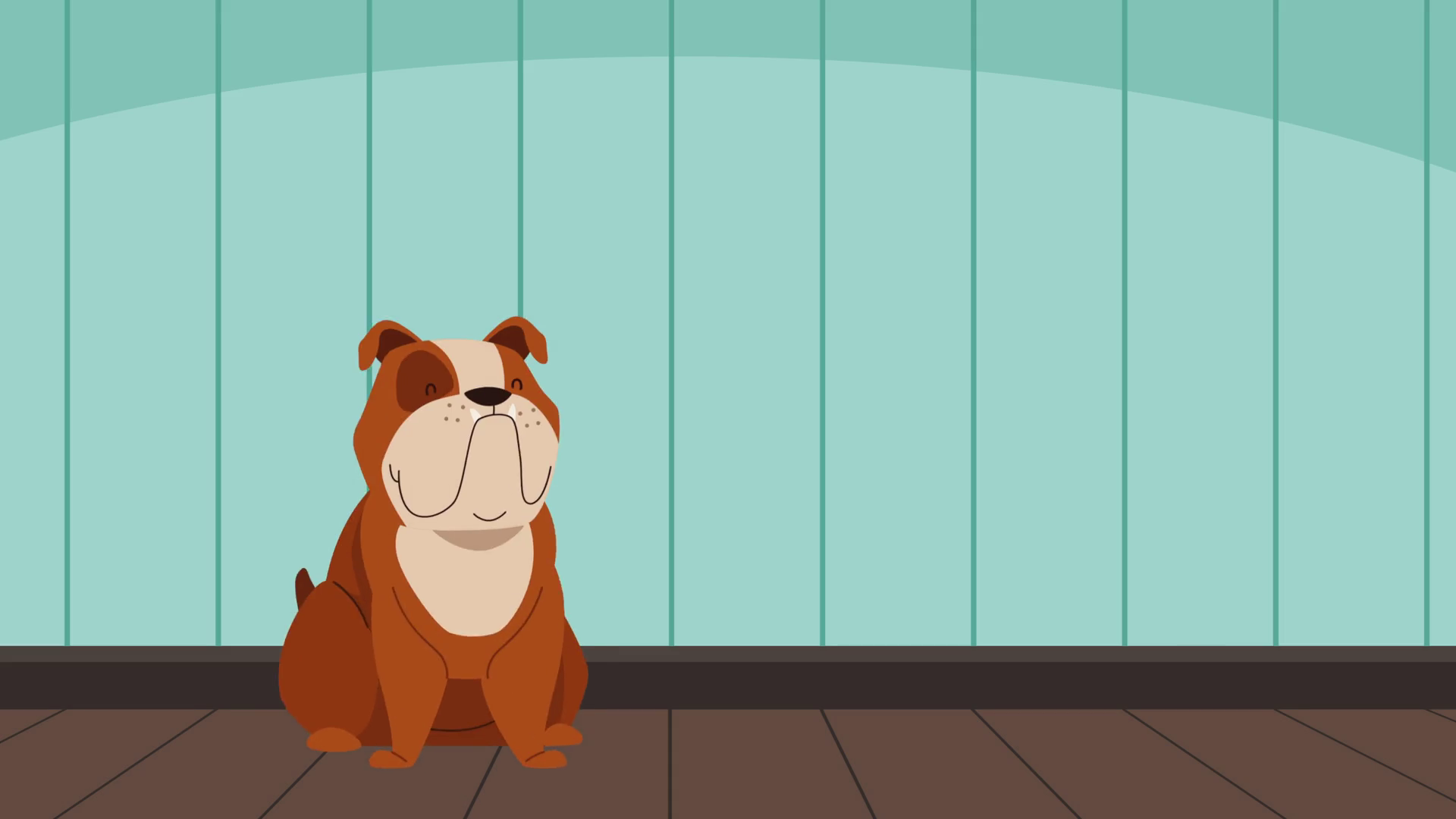 Cute Dogs Couple In Love Characters Animation Stock Motion Graphics SBV ...