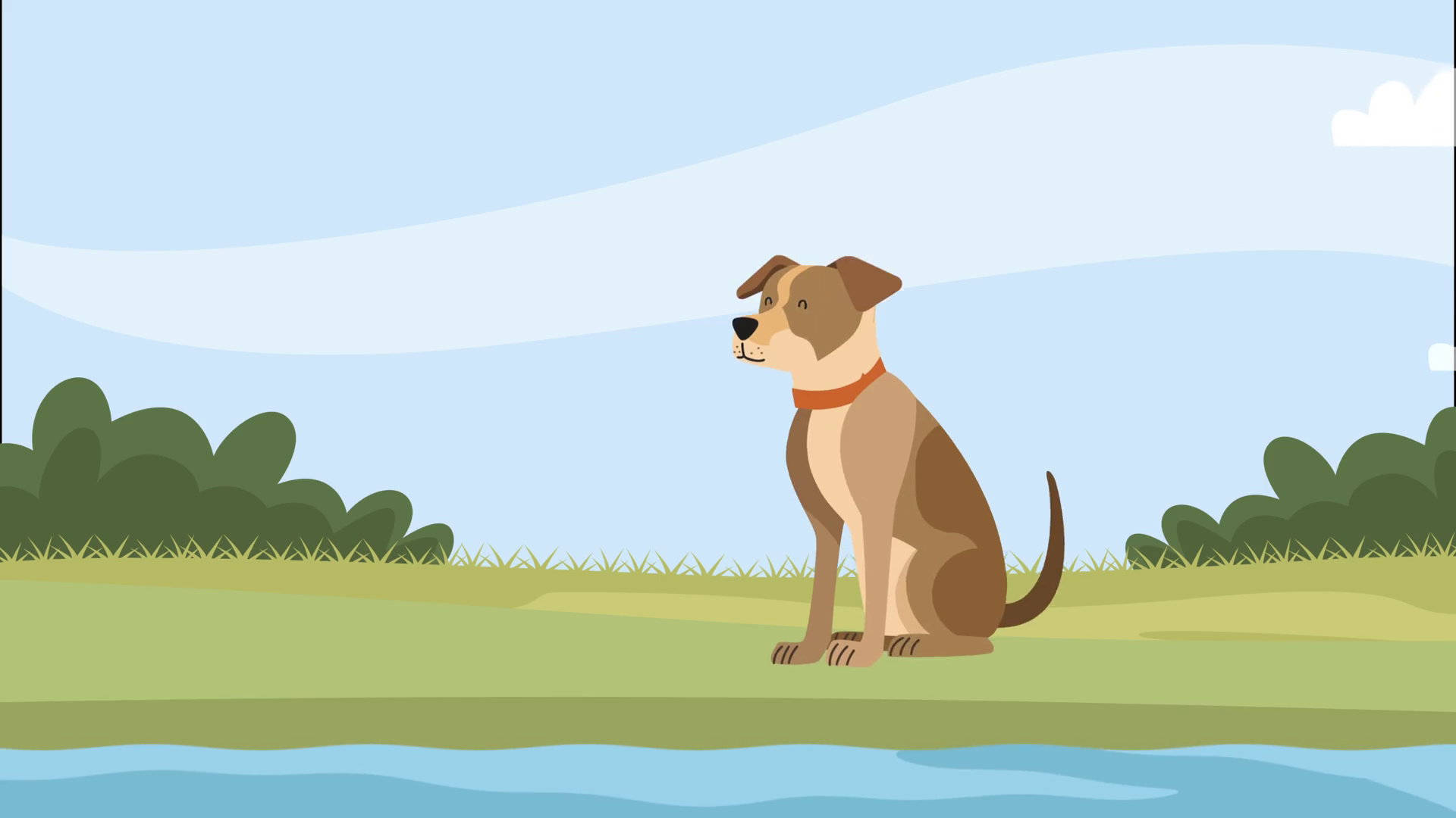 Adorable Animated Dog Couple In Love Stock Motion Graphics SBV ...