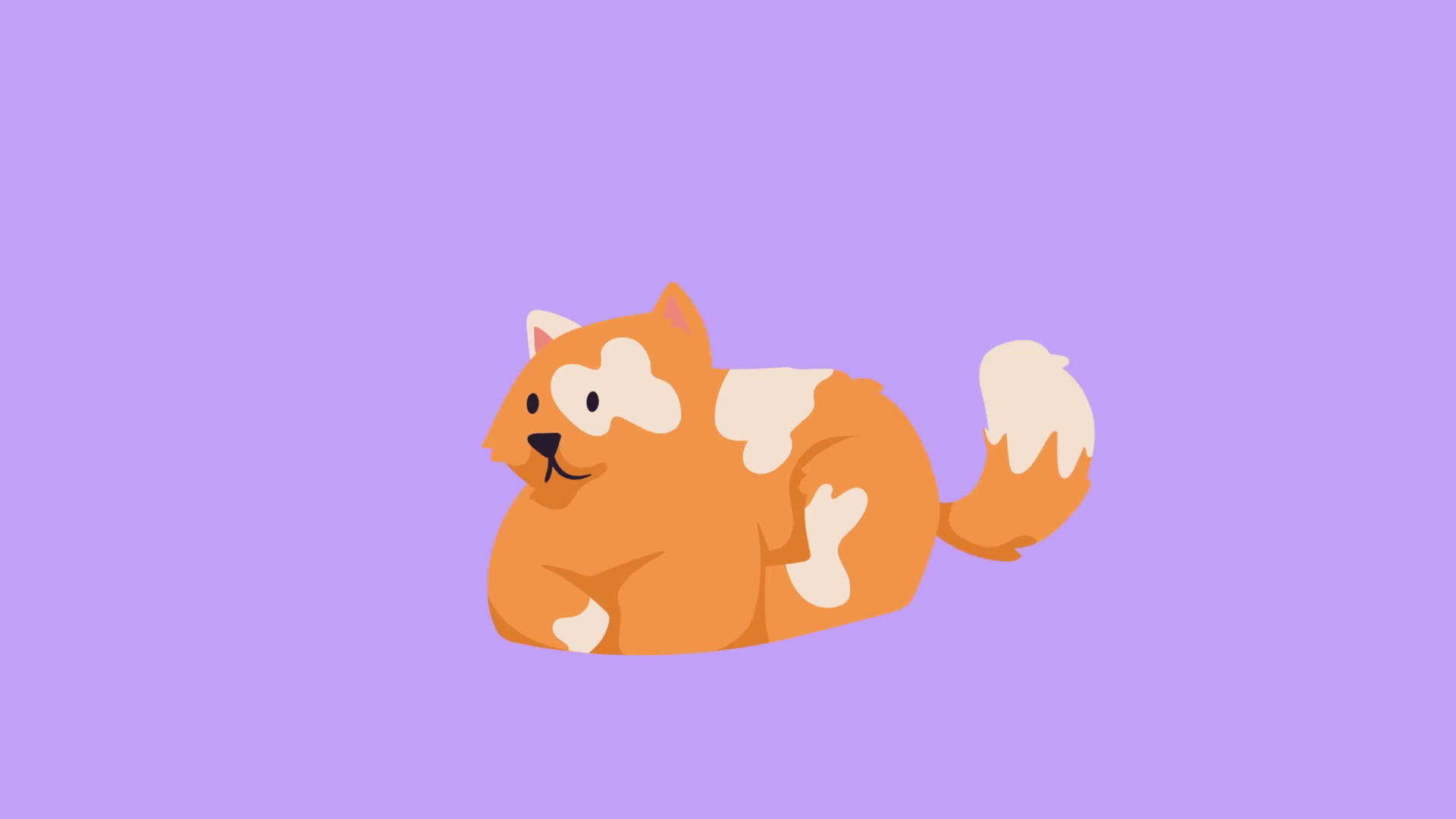Cute Orange Cat Mascot Character Animation Stock Footage SBV-347778214 ...