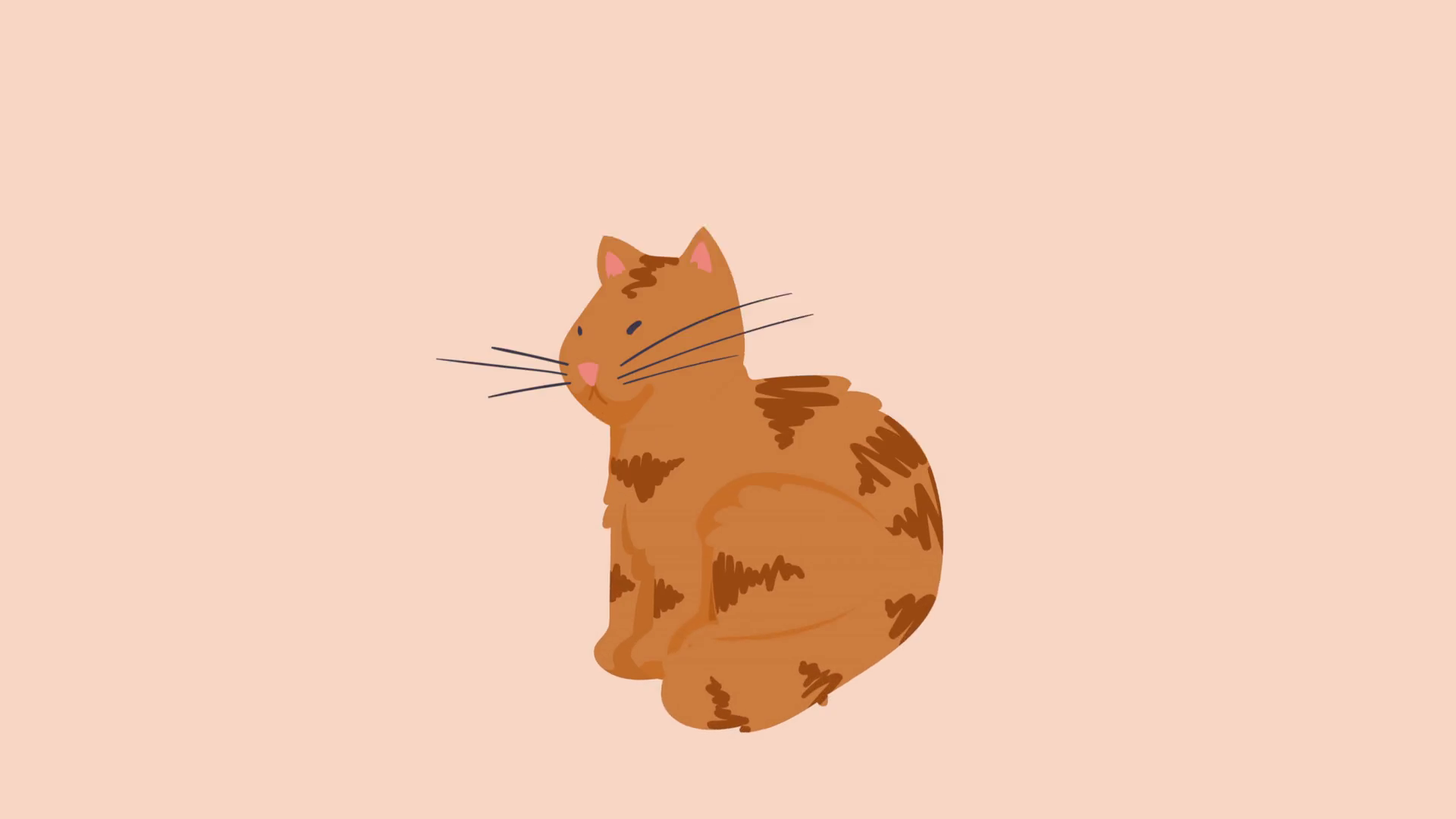 Cute Brown Cat Mascot Character Animation Stock Footage SBV-347778223 ...