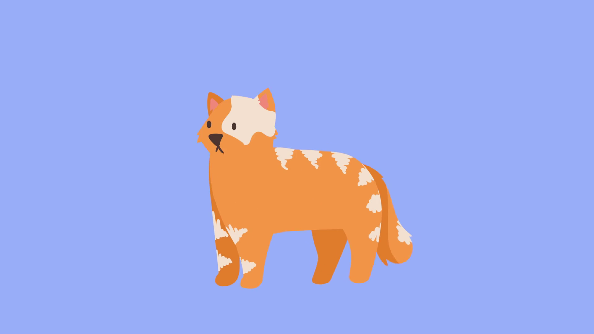 Adorable Orange Cat Mascot Animation Stock Footage SBV-347778228 ...