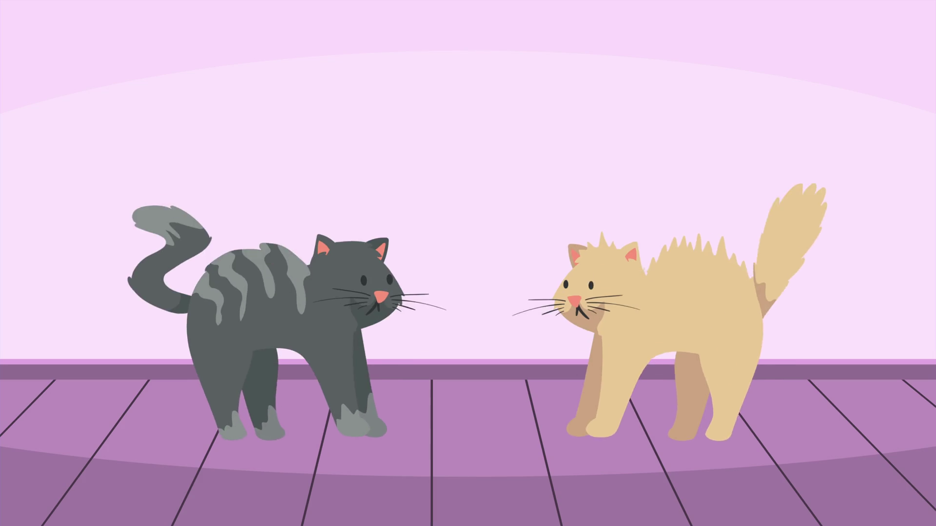 Two Cats Mascots Characters Animation Stock Footage SBV-347778244 ...