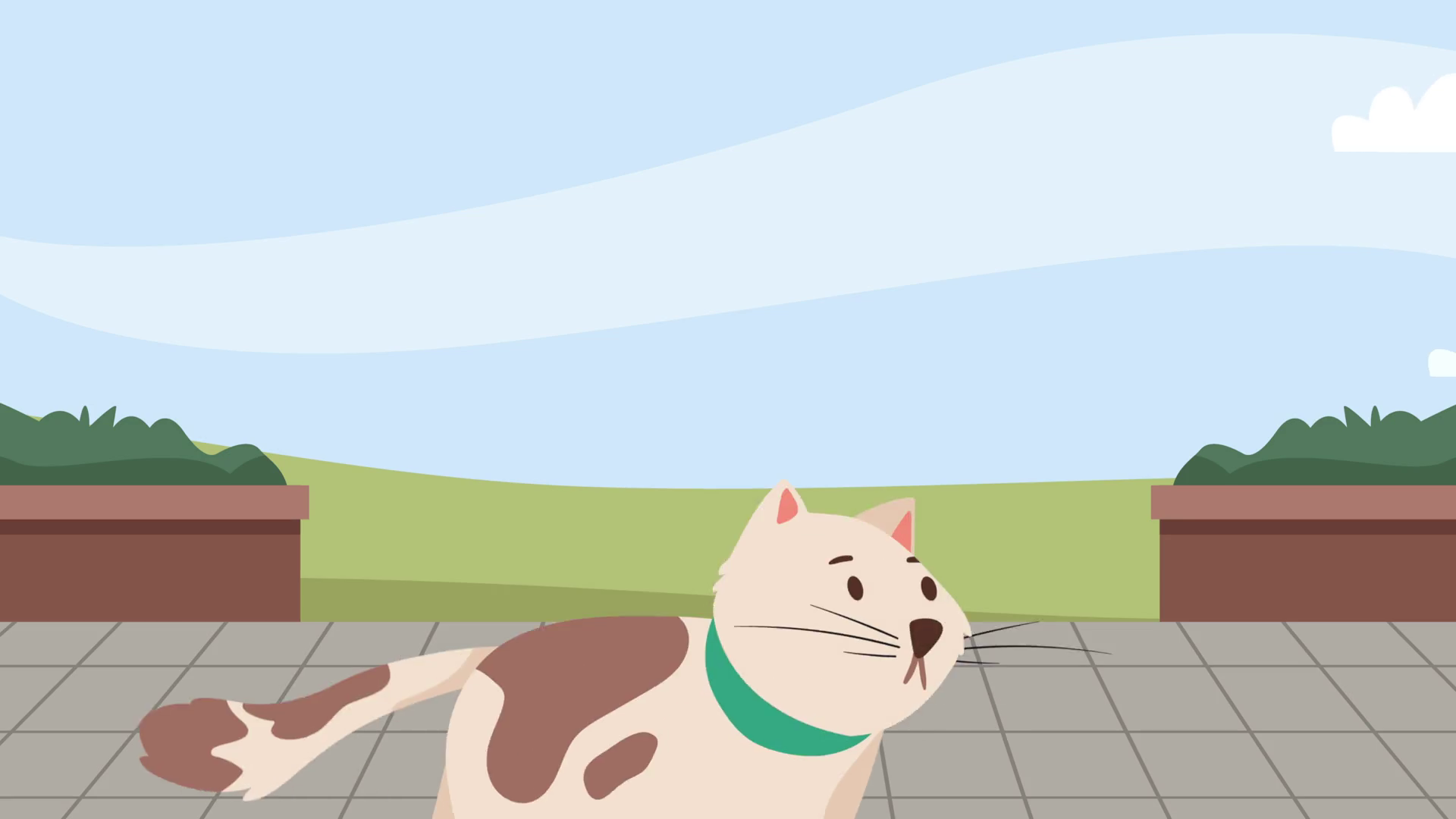 Three Cats Mascots Characters Animation Stock Footage SBV-347778252 ...