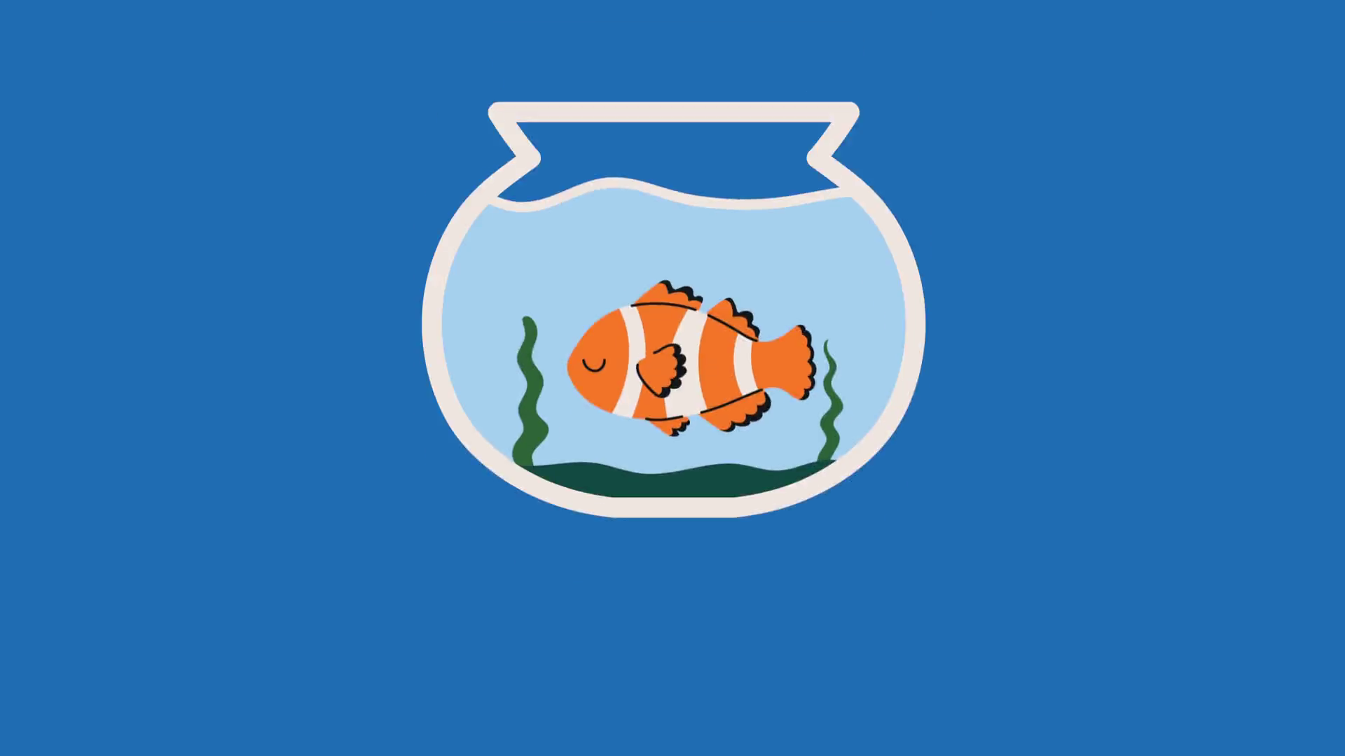 Cute Fish In Aquarium Character Animation Stock Footage SBV-347353903 ...