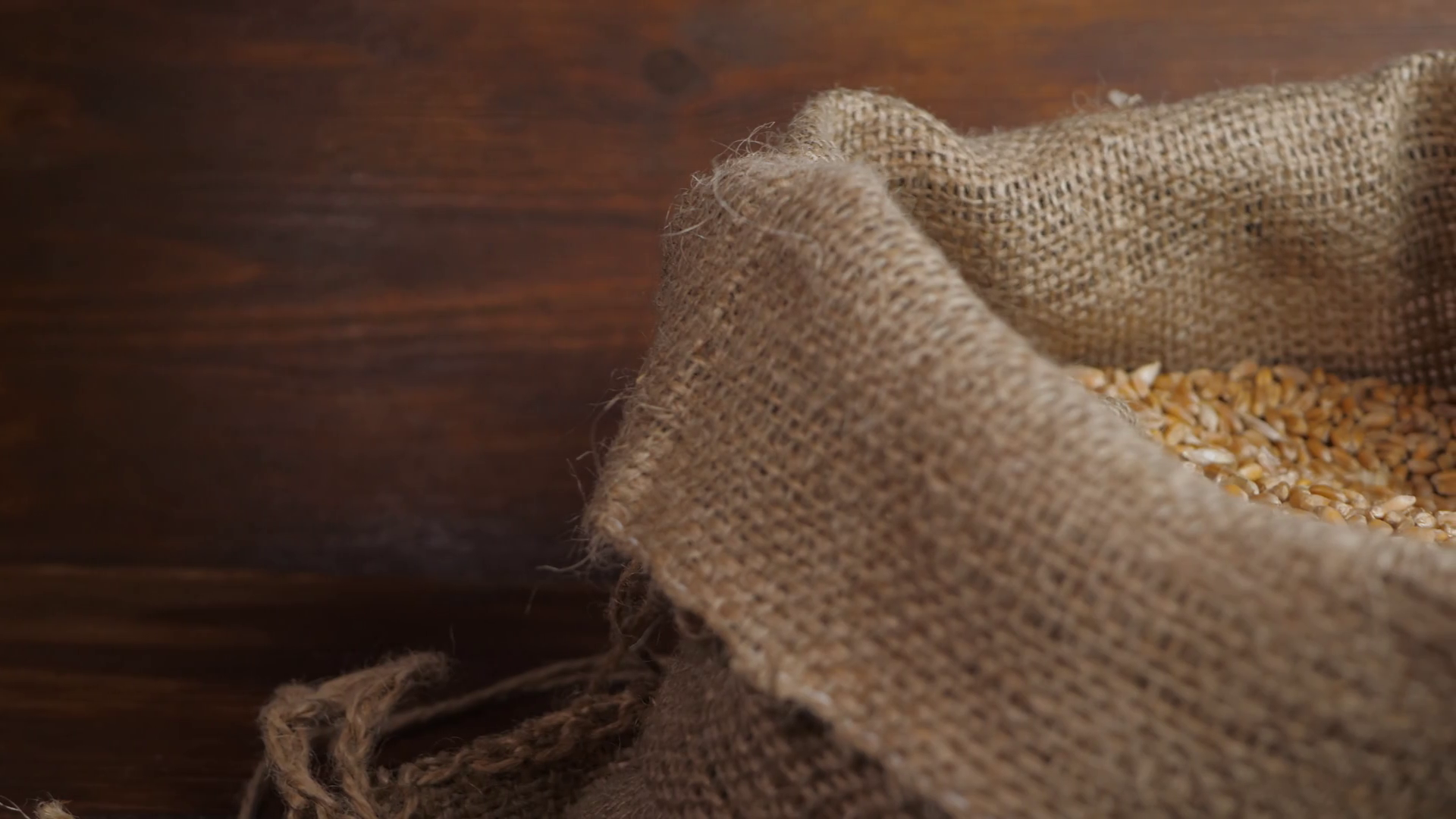 Farmer Male Hand Take Check Wheat Grain At Stock Footage SBV-347511887 ...