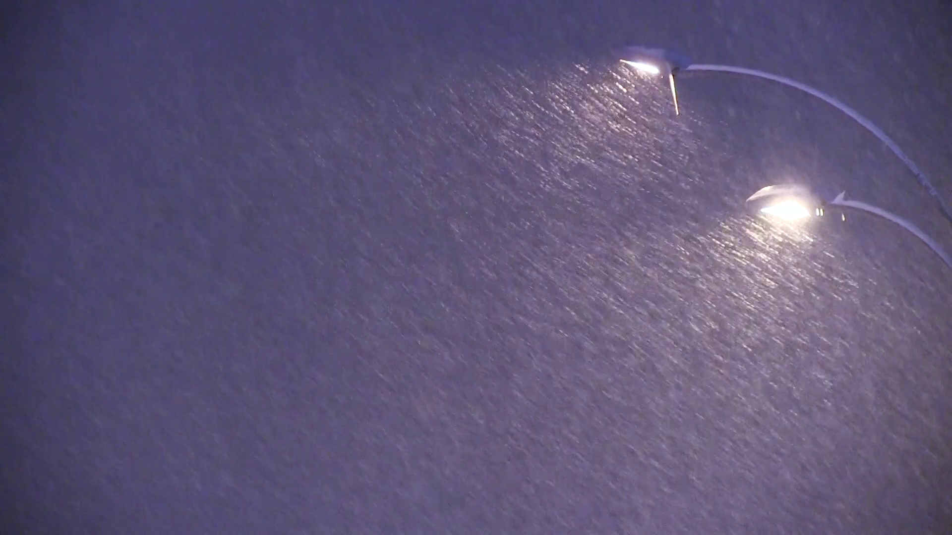 Falling Snow At Winter In During Blizzard Stock Footage SBV-337599182 ...