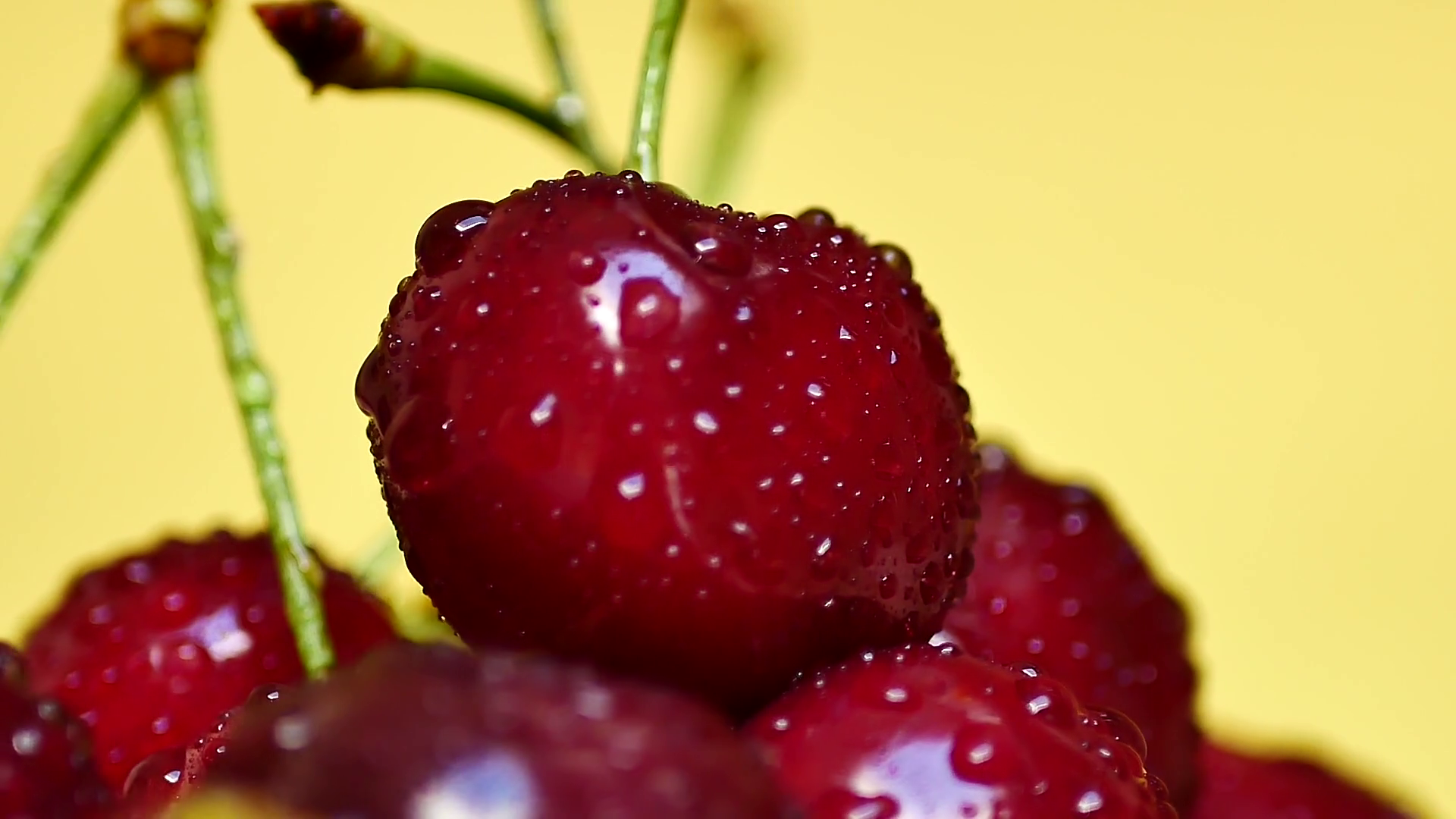 Ripe Juicy Dark Red Cherry Rotates On Yellow Stock Footage SBV ...