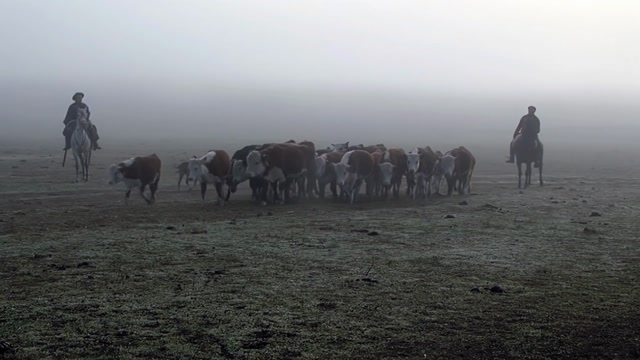 Cowboy | Places and Landmarks stock footage - Storyblocks