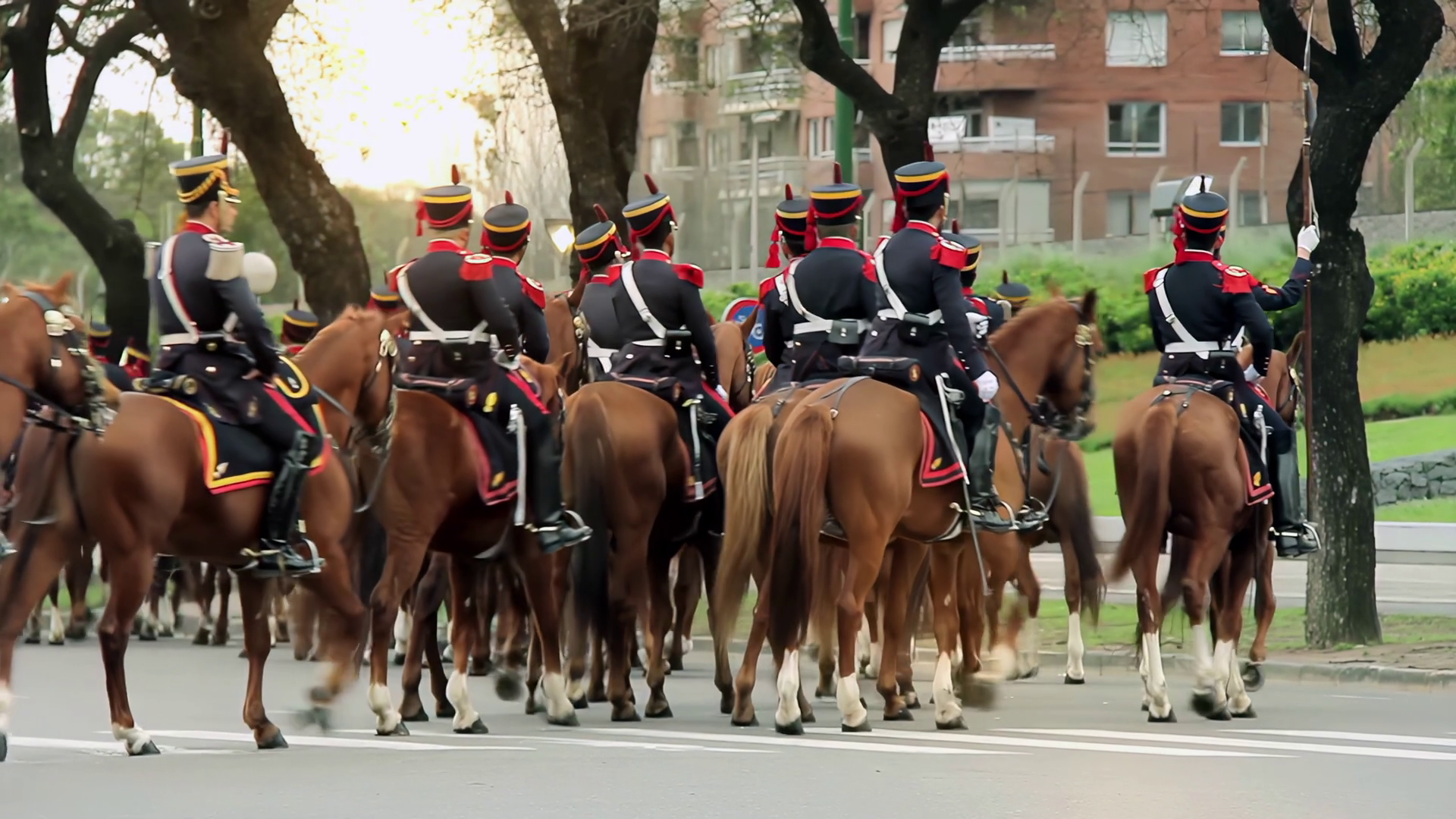 Argentine Cavalry Honor Guard Marching On Stock Footage SBV-352870475 ...