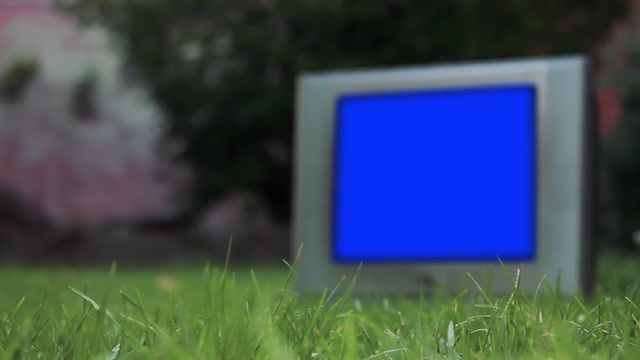 Grass Blue Screen Stock Footage: Royalty-Free Video Clips - Storyblocks