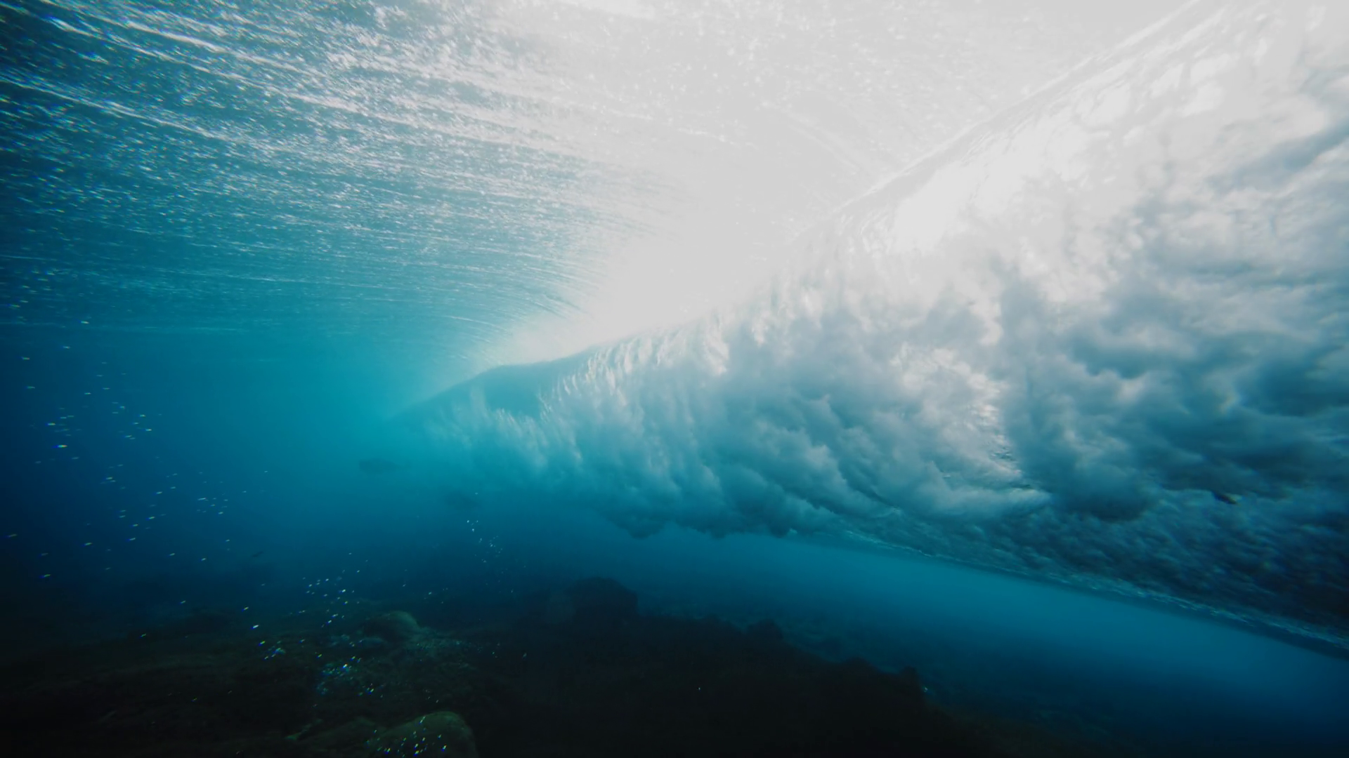 Sideview Underwater Angle Behind Tropical Stock Footage SBV-351703258 ...