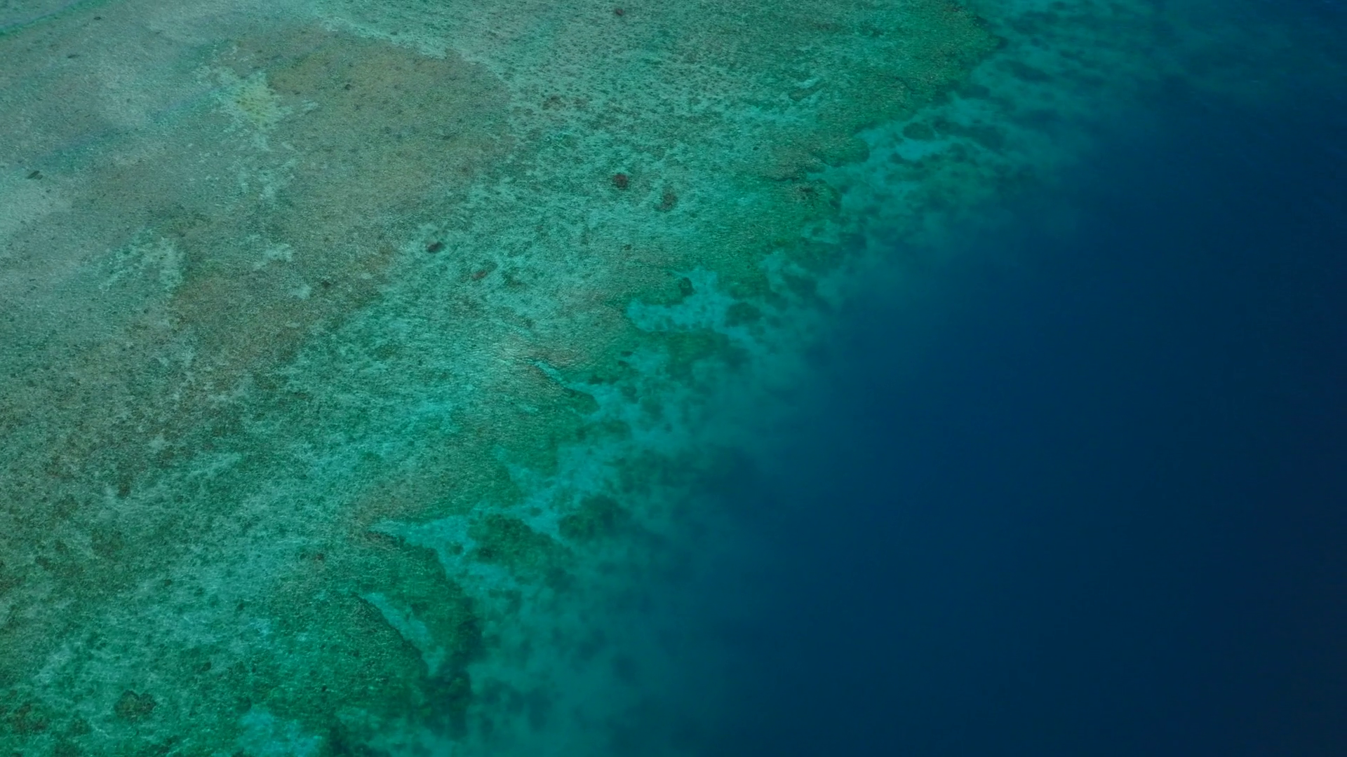 Abstract Reef Formation With Color Gradients Stock Footage SBV ...