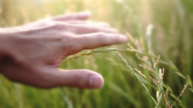 Flashback Templates Royalty-Free - Storyblocks