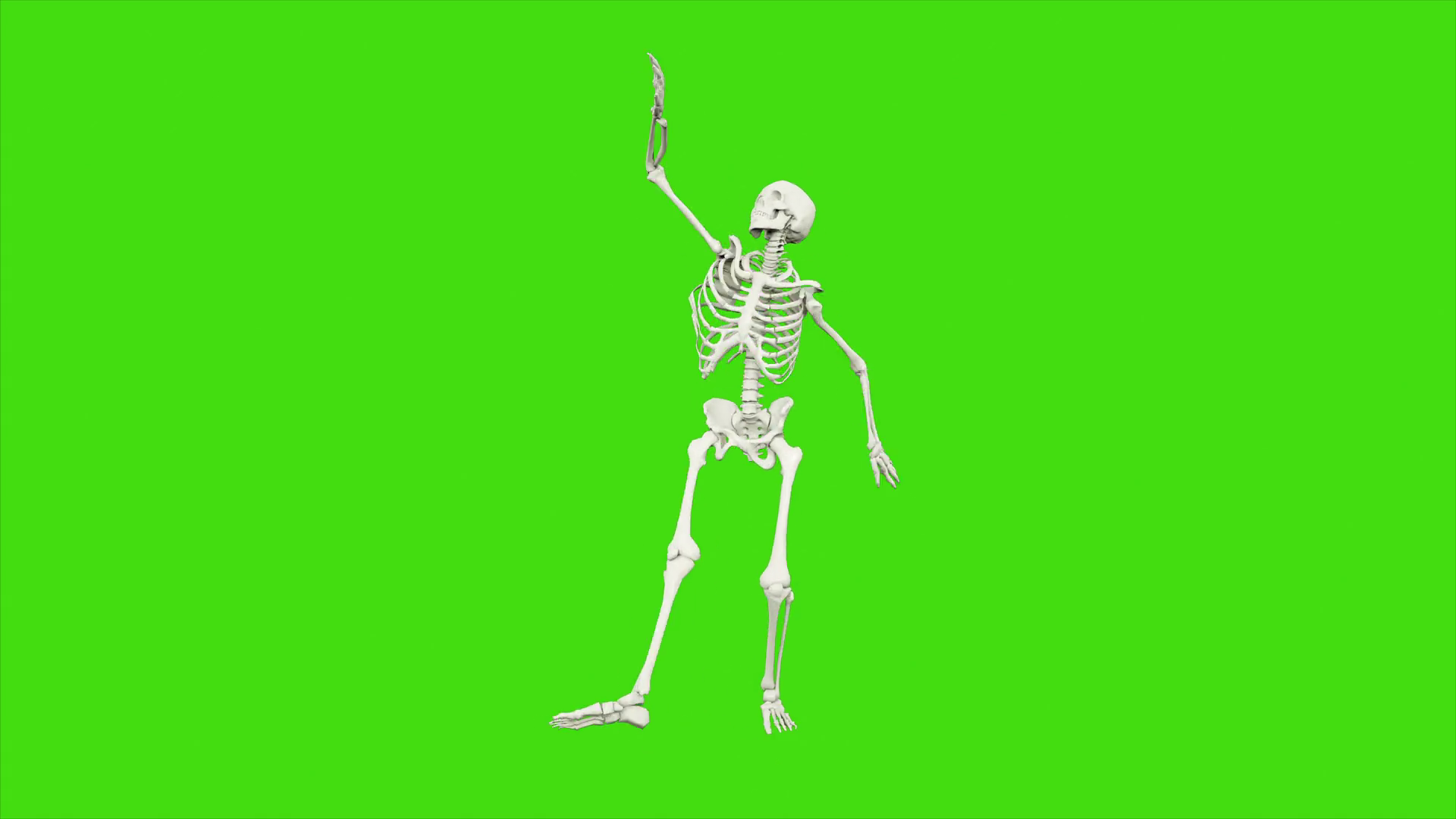 Skeleton Dancing Animation On Green Screen Stock Motion Graphics SBV ...