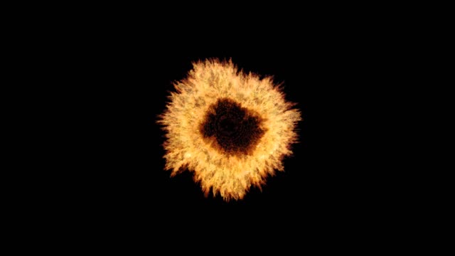 Smoke Explosion Alpha Channel Stock Footage: Royalty-Free Video Clips ...