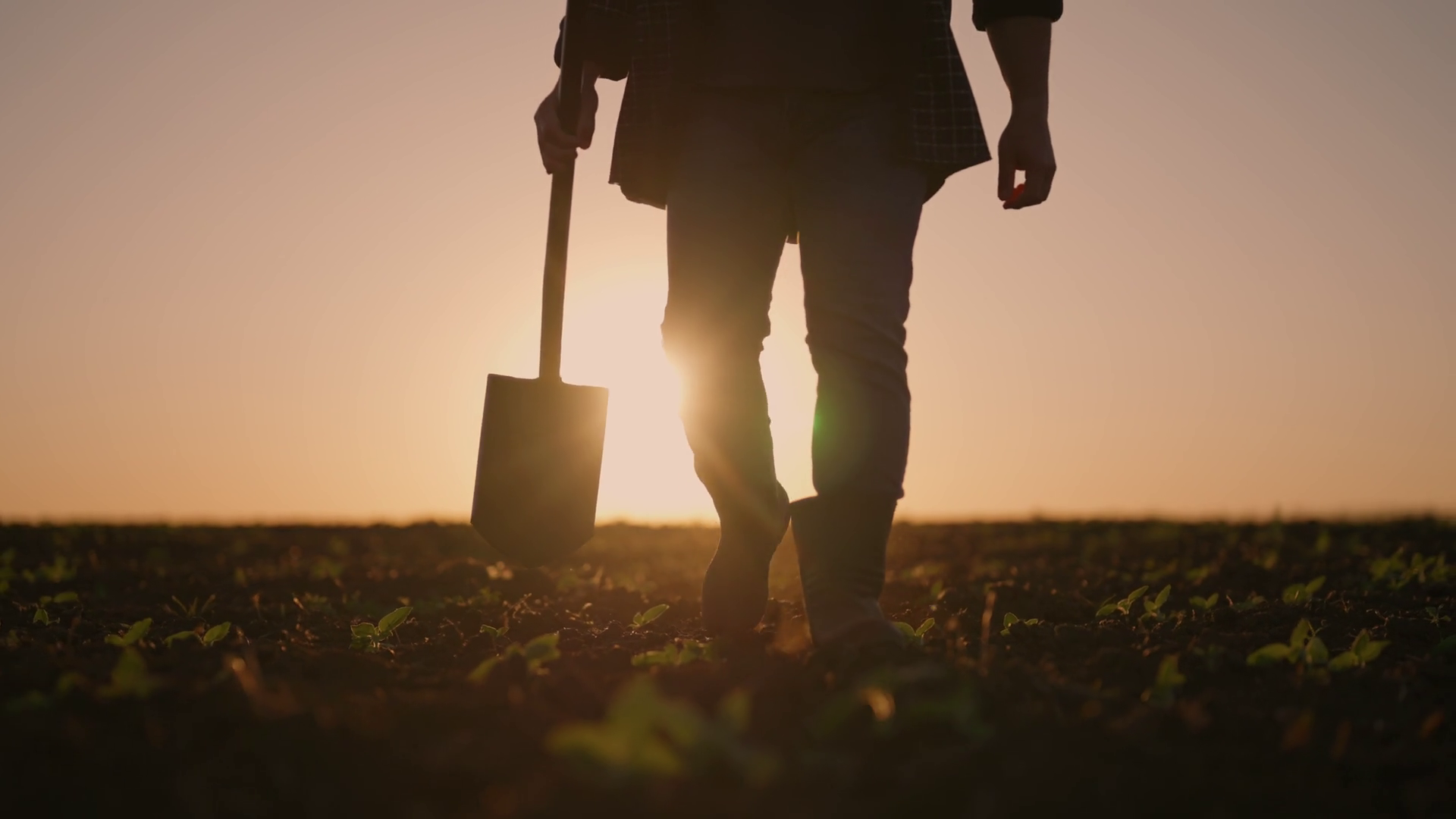 Farmer In Farmland Back View In Contour Stock Footage SBV-351673651 ...