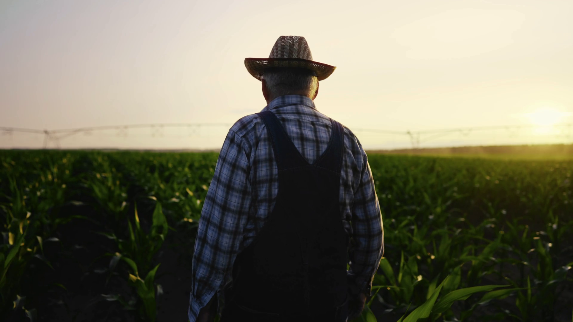 Lonely Farm Worker Enjoying Calmness Silence Stock Footage SBV ...