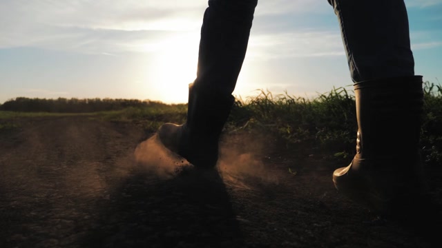 Kick Up Dust Stock Footage: Royalty-Free Video Clips - Storyblocks