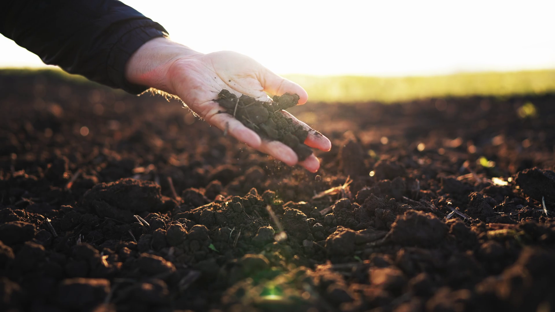 Farmer Hand Scooping Dirt On Field At Sunset Stock Footage SBV ...