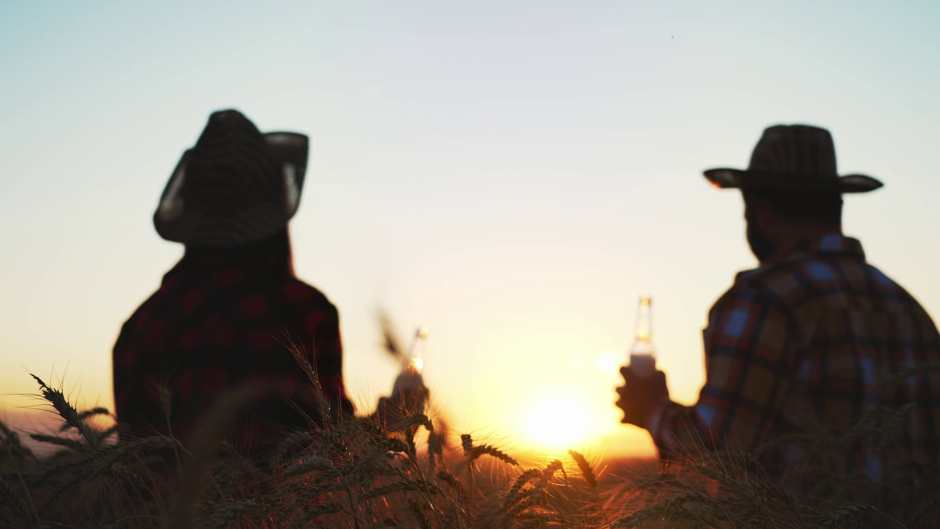 Silhouette two people farmers in field drinking wheat beer of natural ...