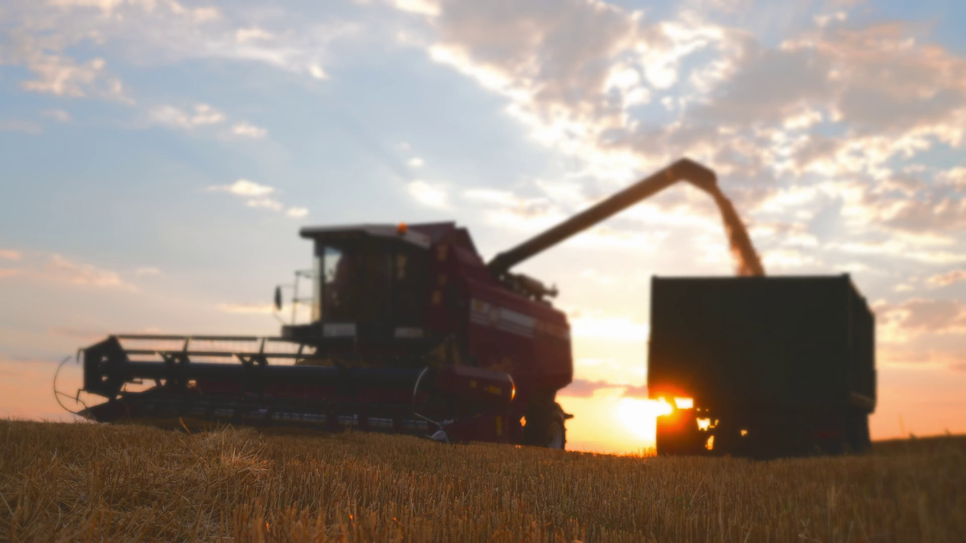 Loading Grain From Grain Harvester Combine Stock Footage SBV-347612977 ...