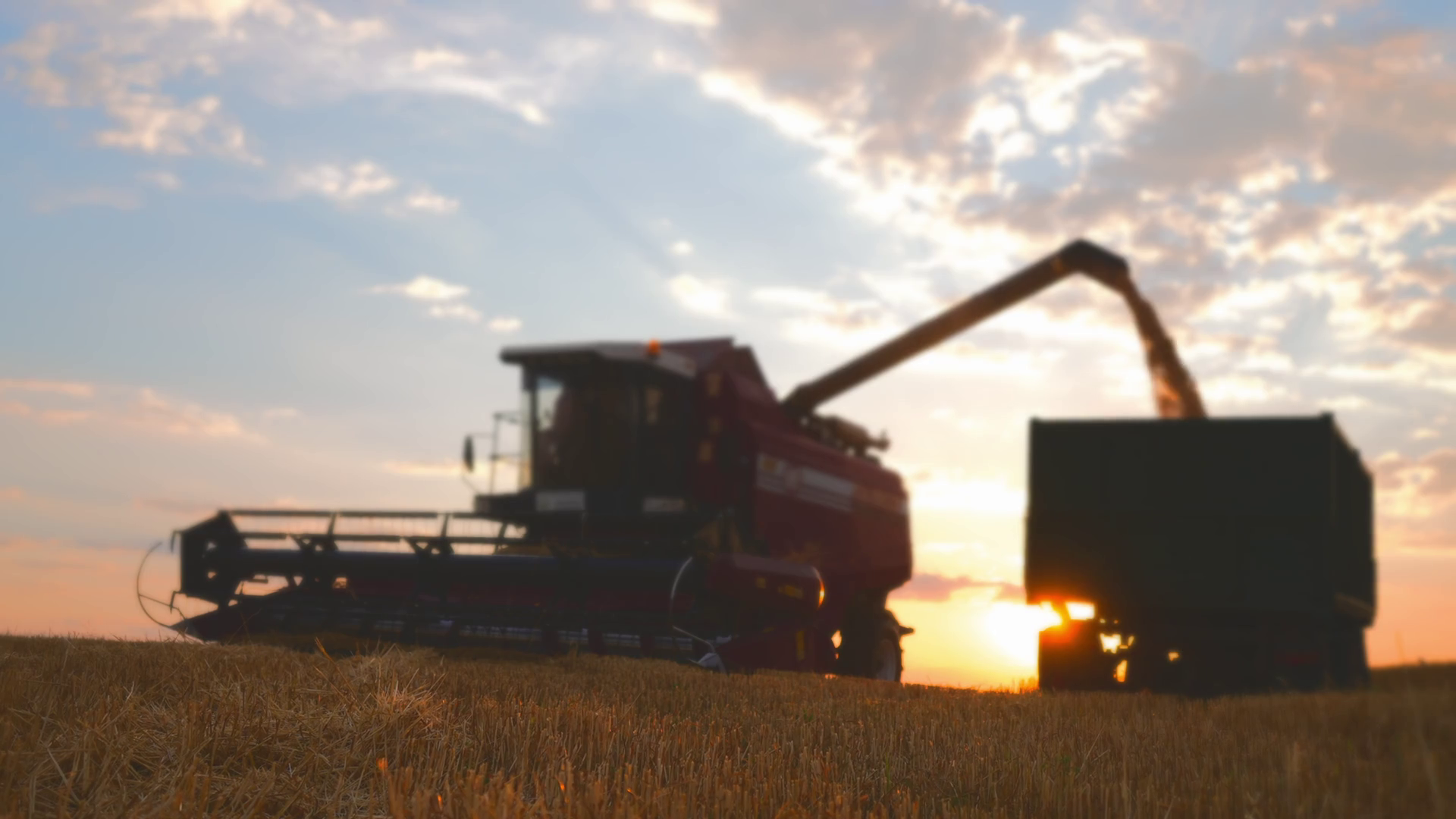 Loading Grain From Harvester Combine To Stock Footage SBV-347613828 ...