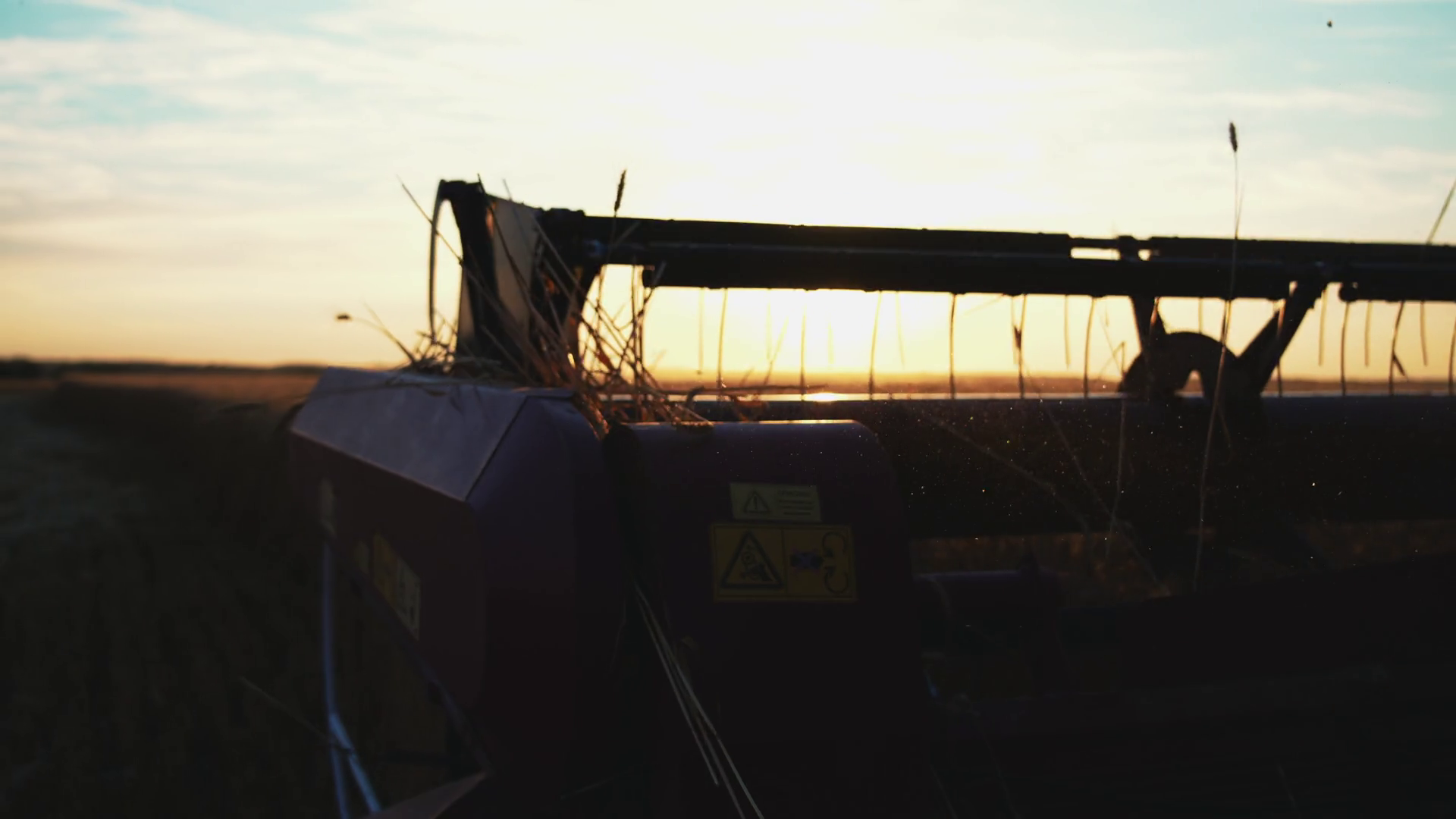 Wheat Harvest Wheat Harvesting Shears Stock Footage SBV-347707960 ...