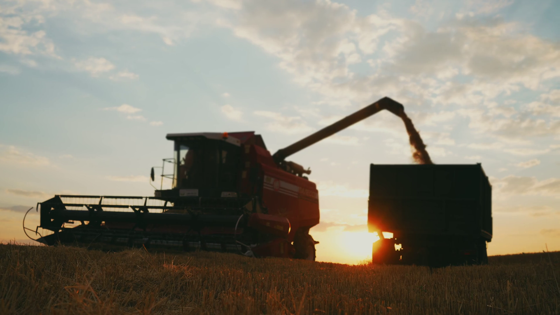 Loading Grain From Grain Harvester Combine Stock Footage SBV-347787500 ...