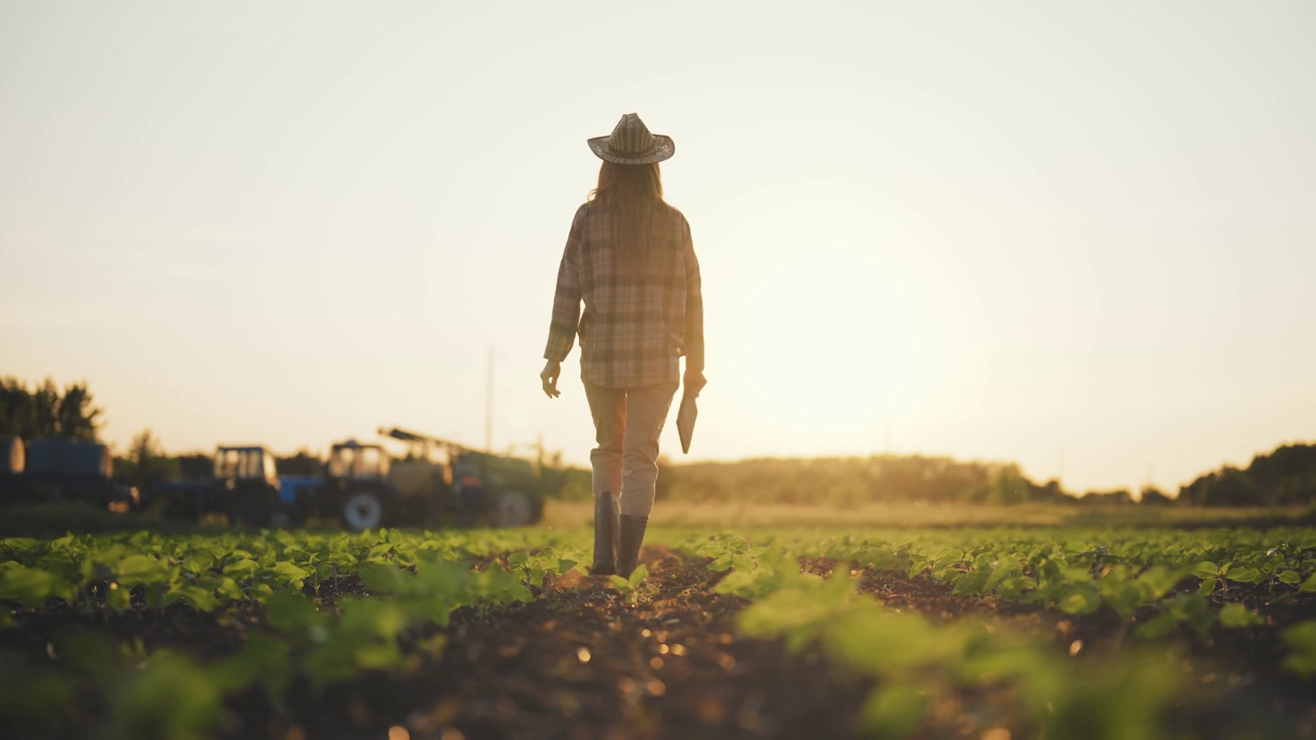 Farm Worker Woman With Tablet In Hands Walks Stock Footage SBV ...