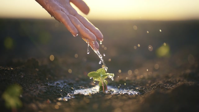 Tree Root Growing Animation Stock Footage: Royalty-Free Video Clips ...