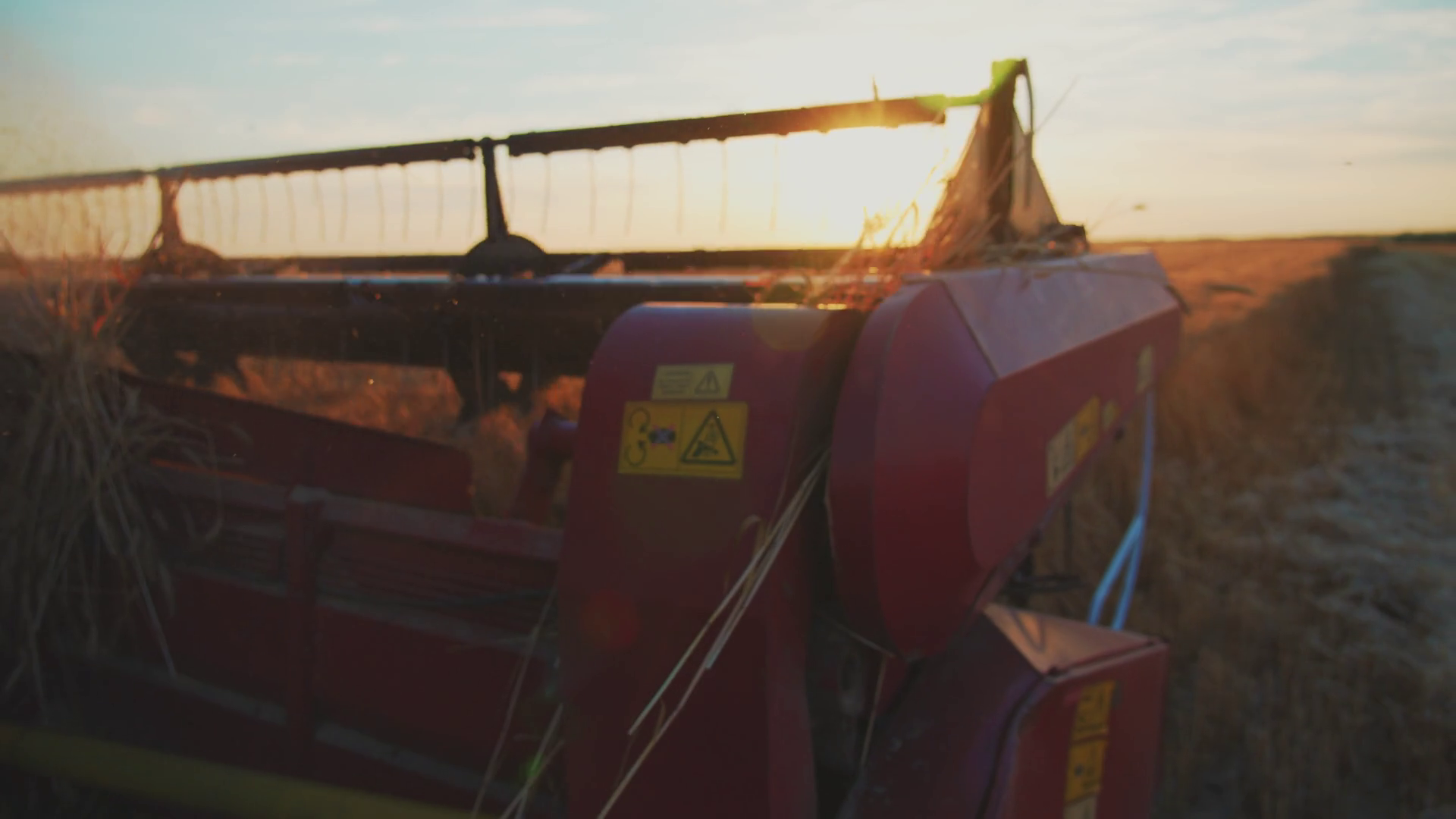 Wheat Harvest Wheat Harvesting Shears Stock Footage SBV-348683419 ...