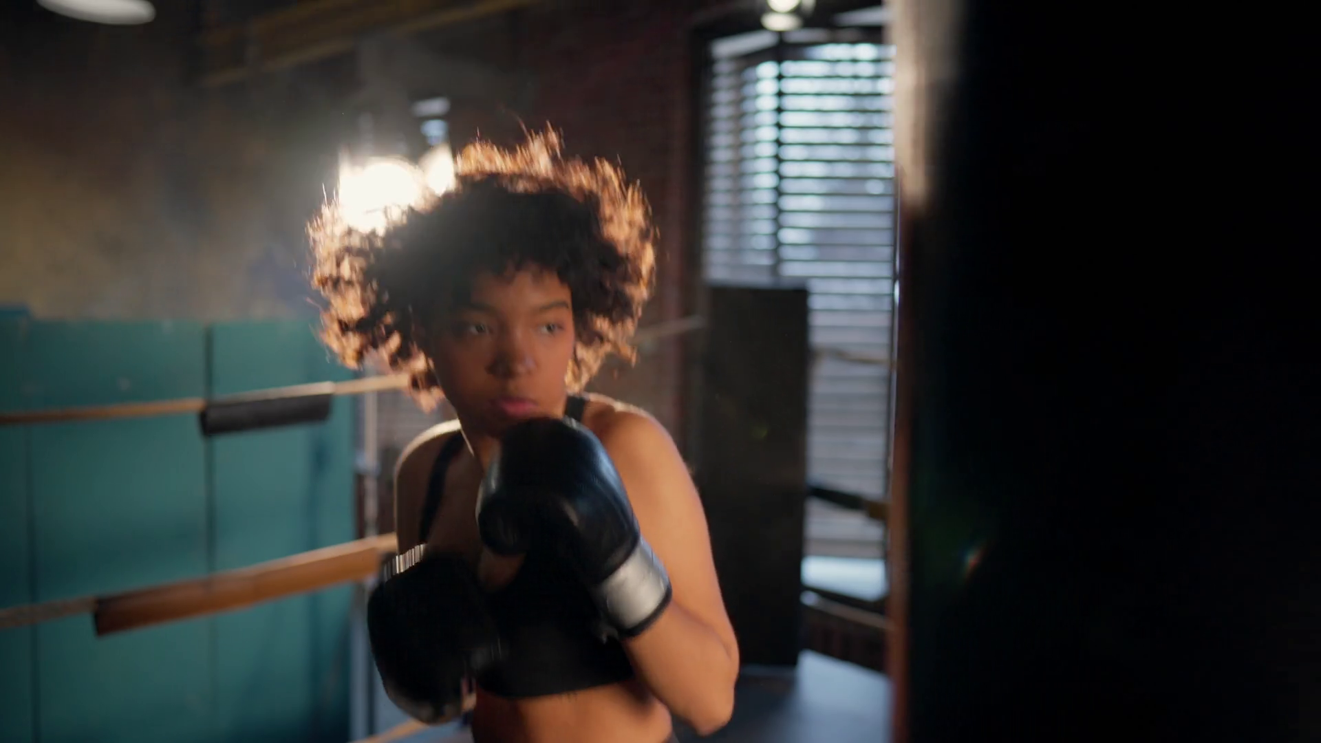 African American Woman Boxer Hair Boxing In Stock Footage SBV-348714181 ...
