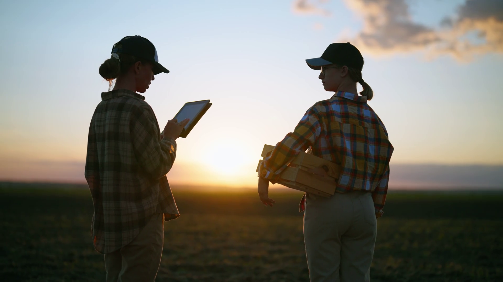 Two Women Farm Workers Agronomist Manager Stock Footage SBV-348722109 ...