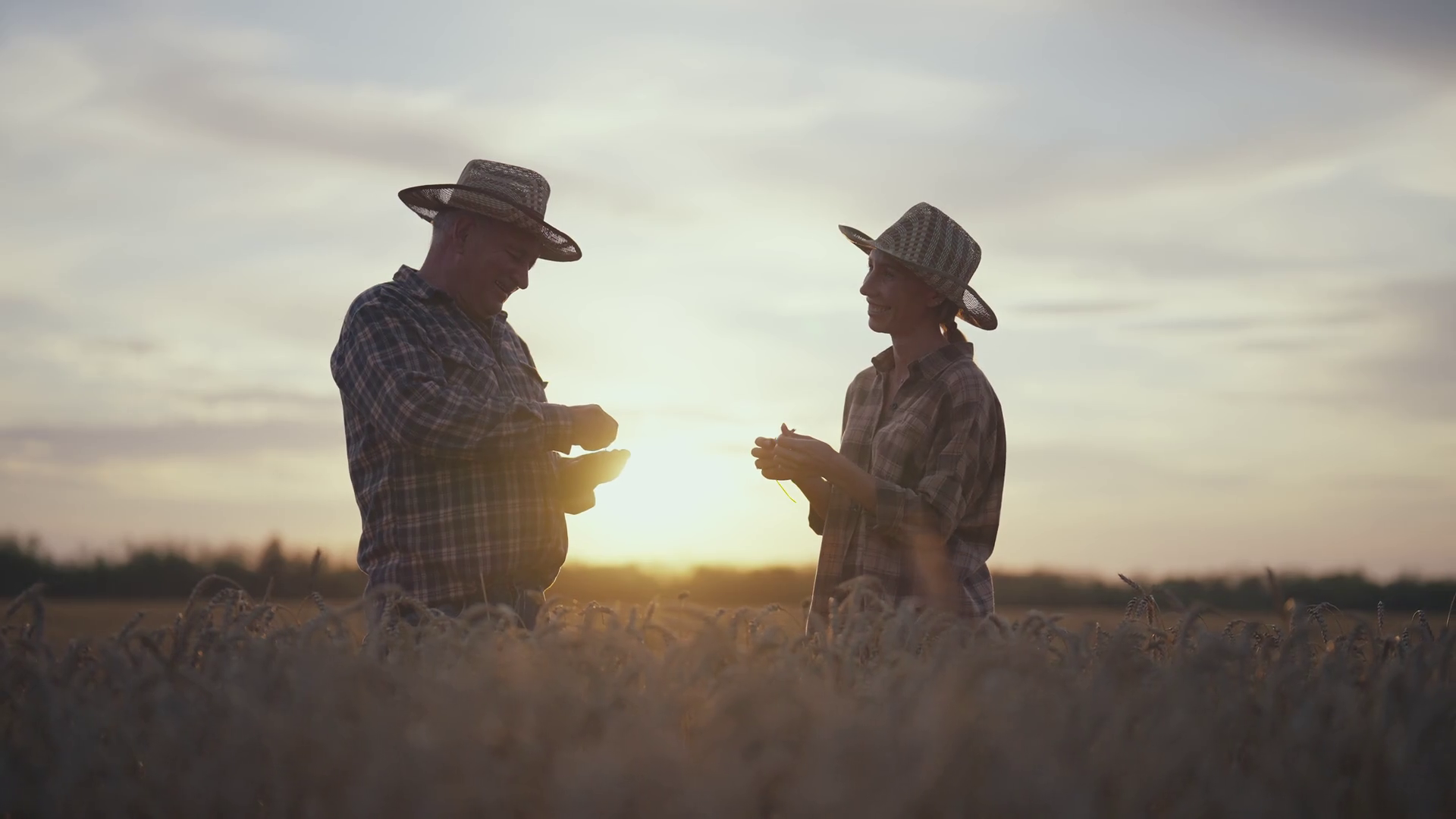 Man Woman Farmers Talk About Harvest Stock Footage SBV-348740651 ...