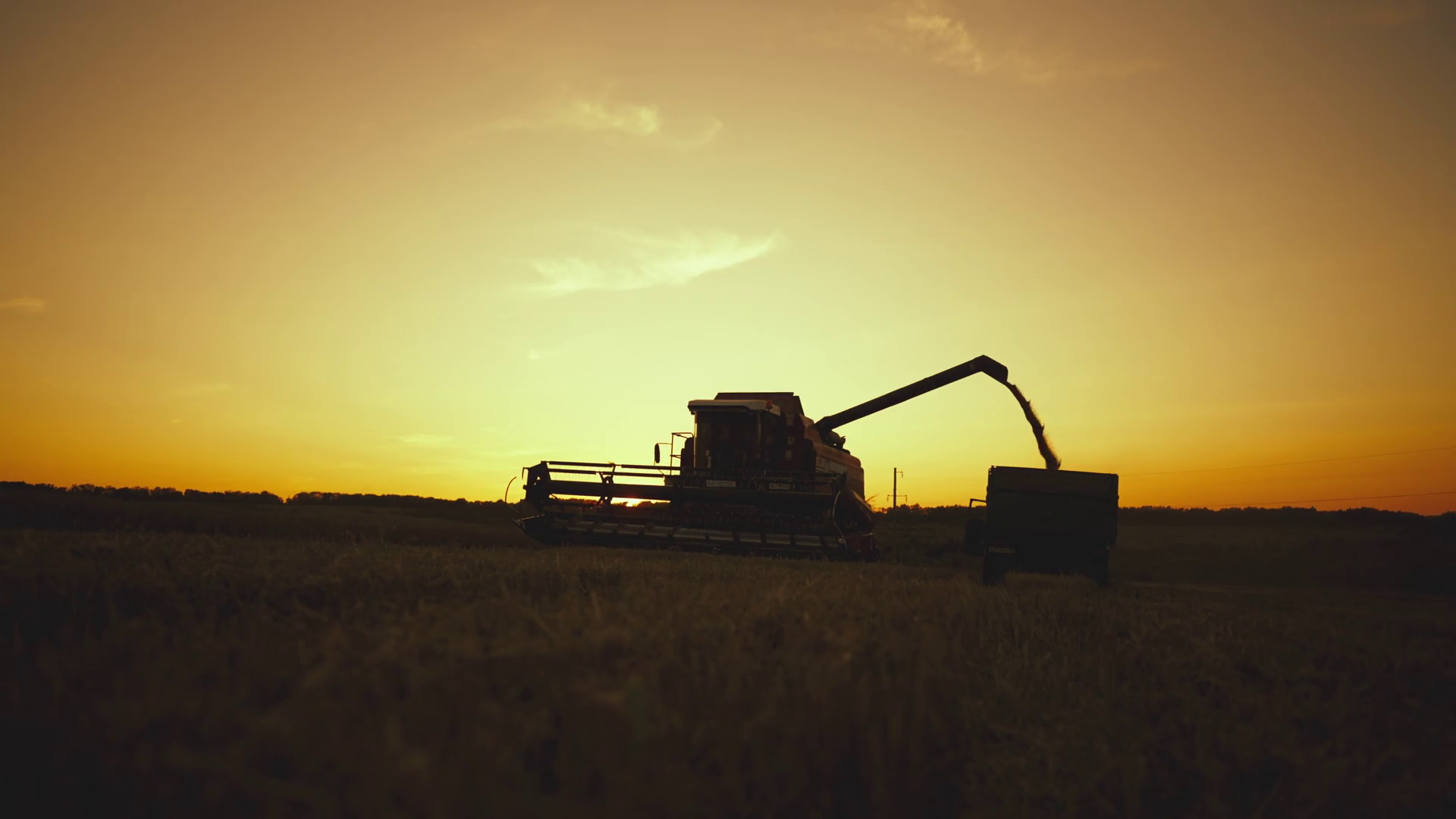 Loading Grain From Grain Harvester Combine Stock Footage SBV-348764713 ...