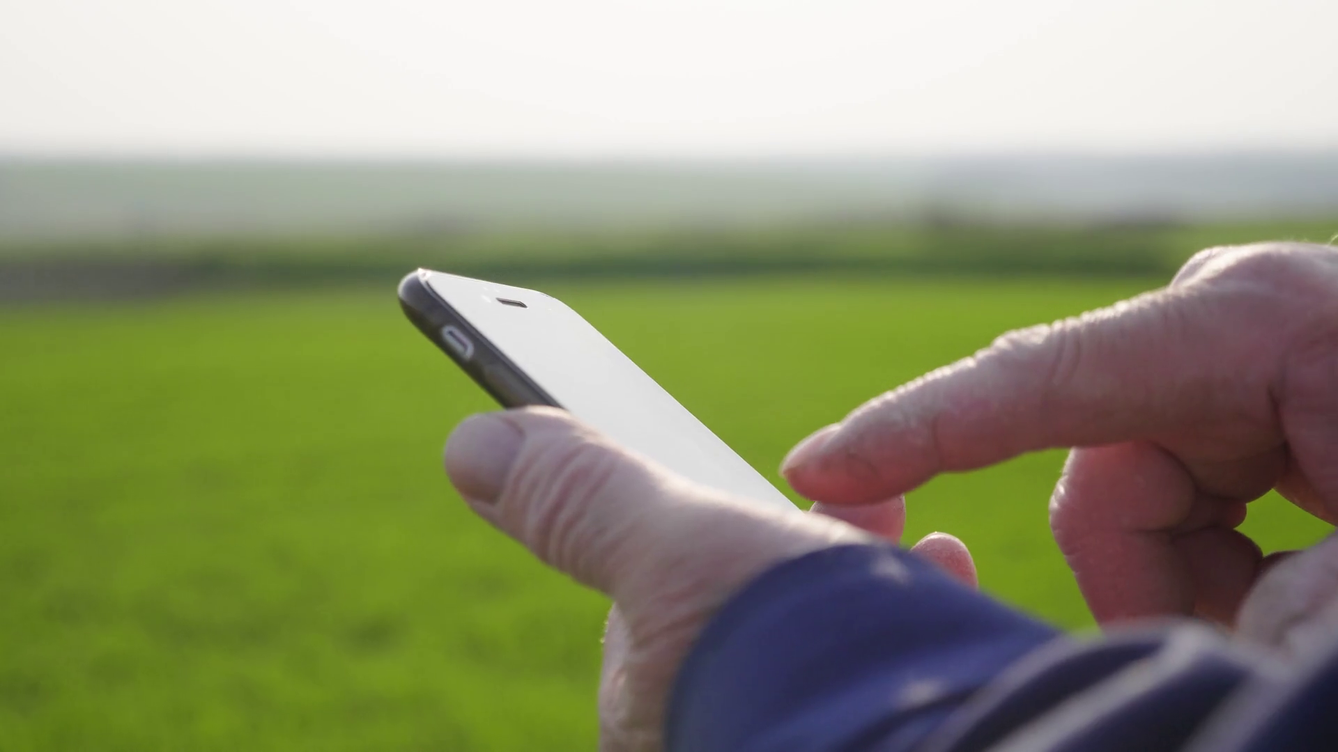 Agronomist mature man using smartphone in agriculture farm. Close up ...