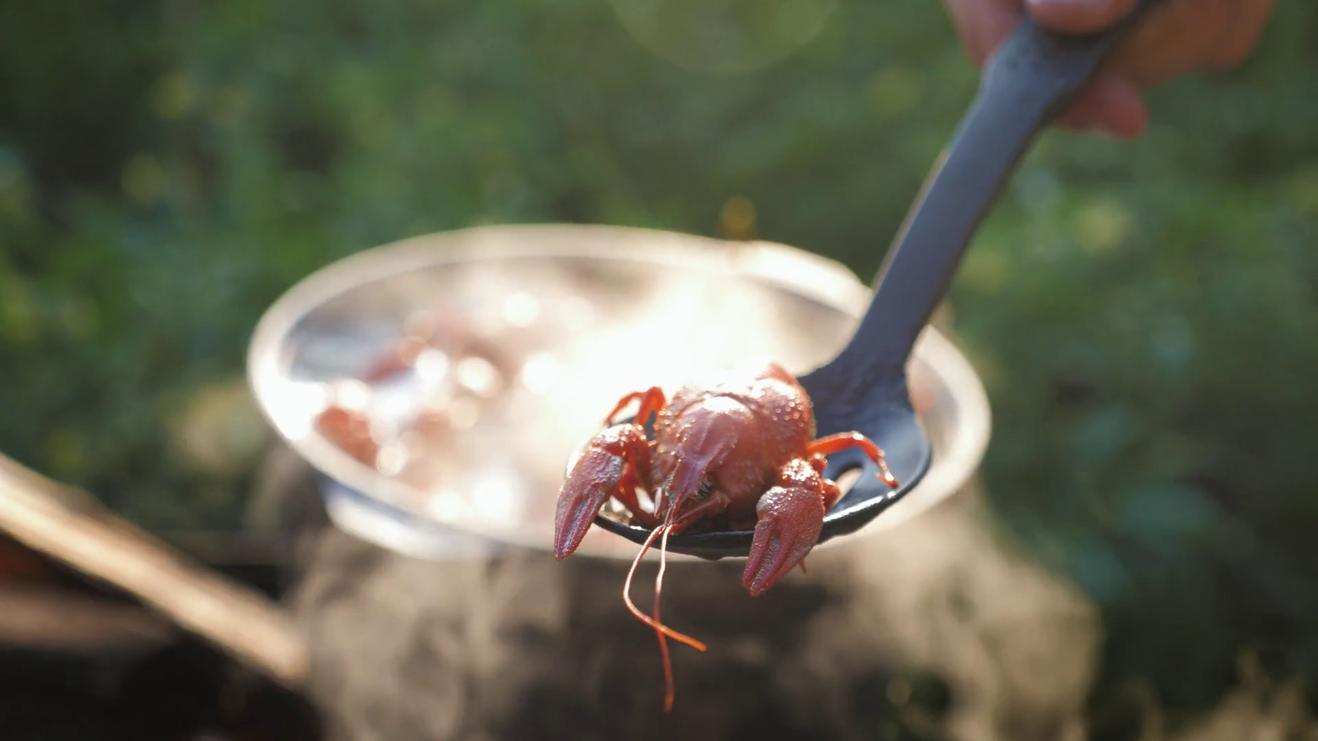 Crayfish Cook In Water With Spices Herbs Hot Stock Footage SBV ...
