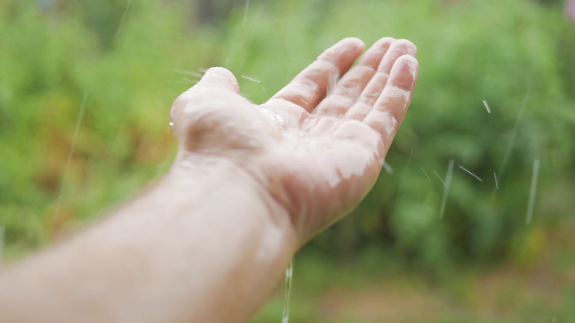 Drops Of Rain Fall Into Hand Male Close-up Stock Footage SBV-327665693 ...