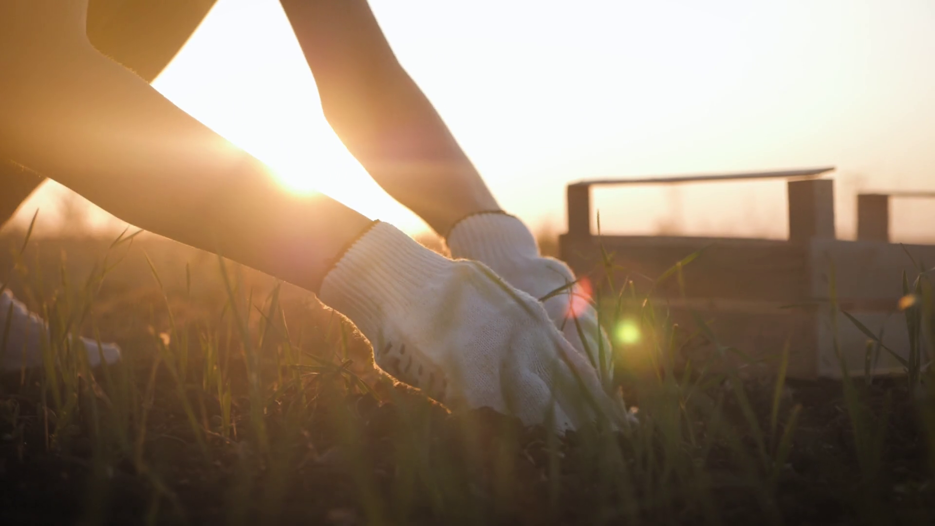 Farmer Woman Wearing Work Gloves Filled With Stock Footage SBV ...