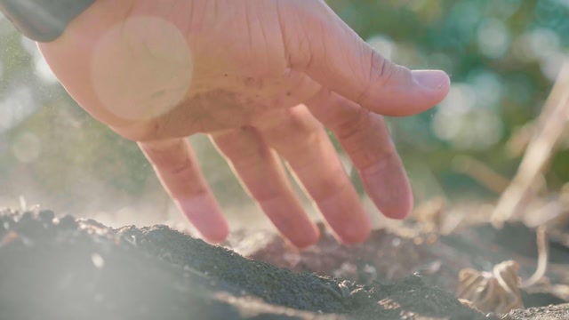Falling Dirt Stock Footage: Royalty-Free Video Clips - Storyblocks