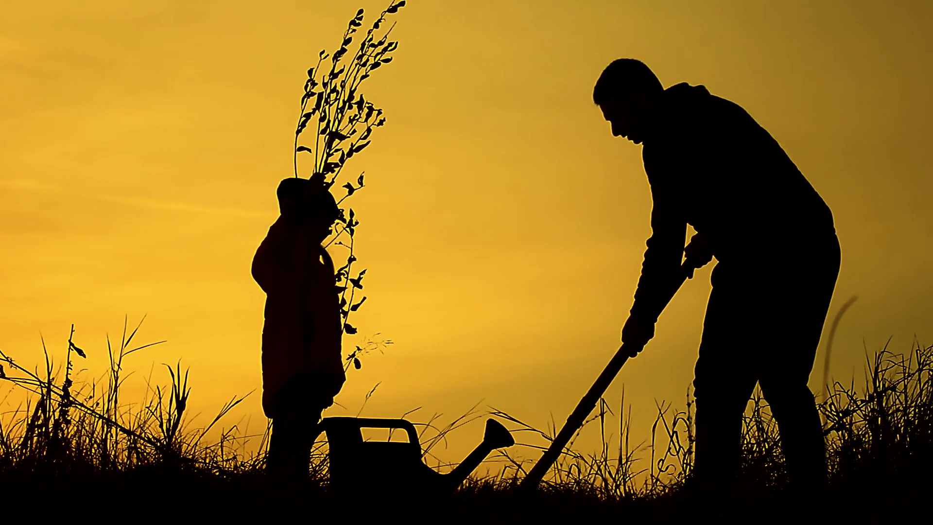 Father Daughter Planting Tree Sunset Stock Footage SBV-318325397 ...
