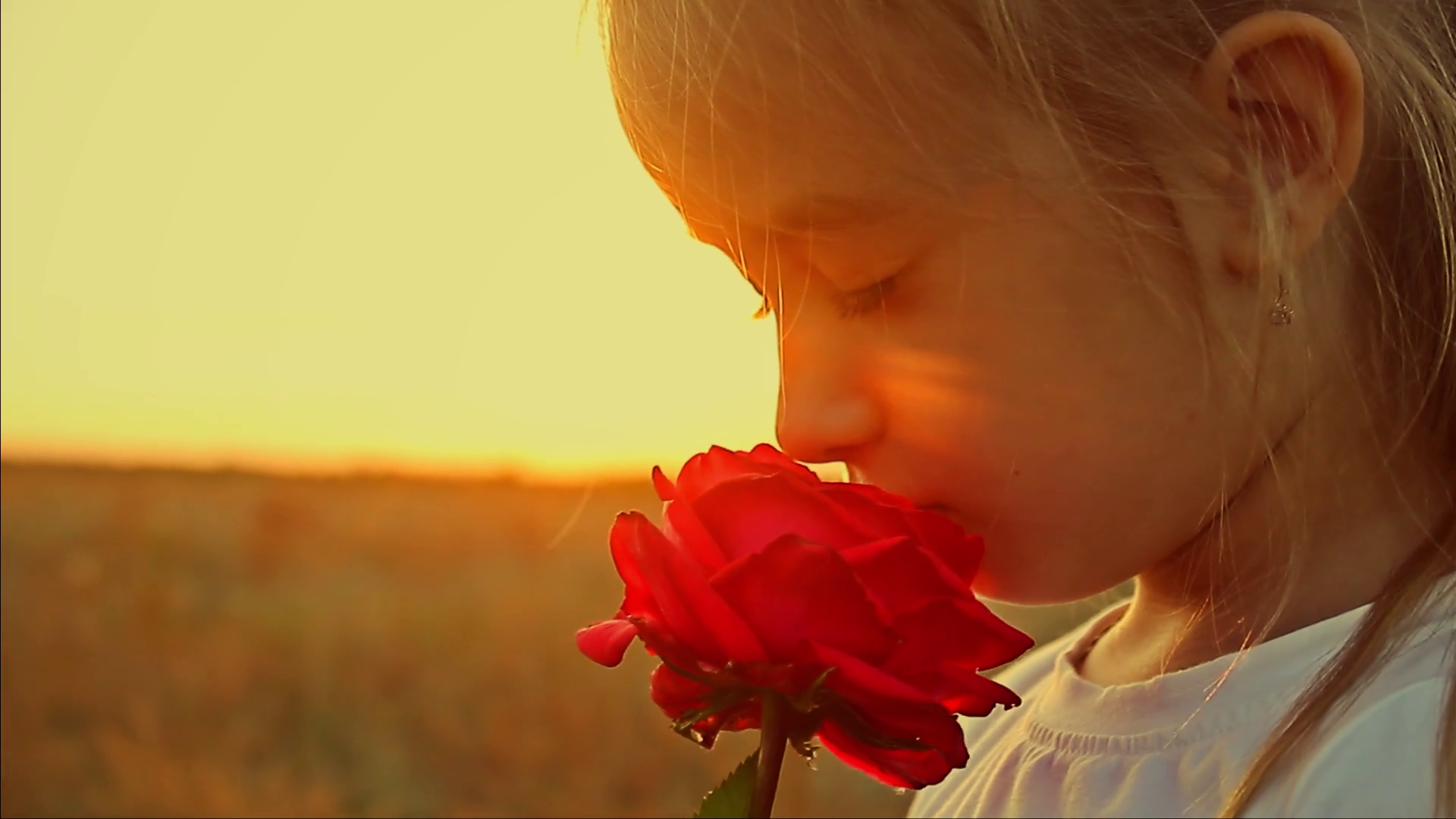 Female Smelling Rose Flower Love Smell Stock Footage SBV-315786043 ...