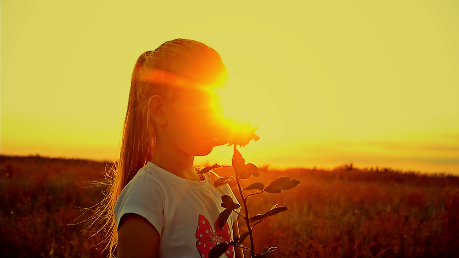 Female Smelling Rose Flower Love Smell Stock Footage SBV-315783393 ...